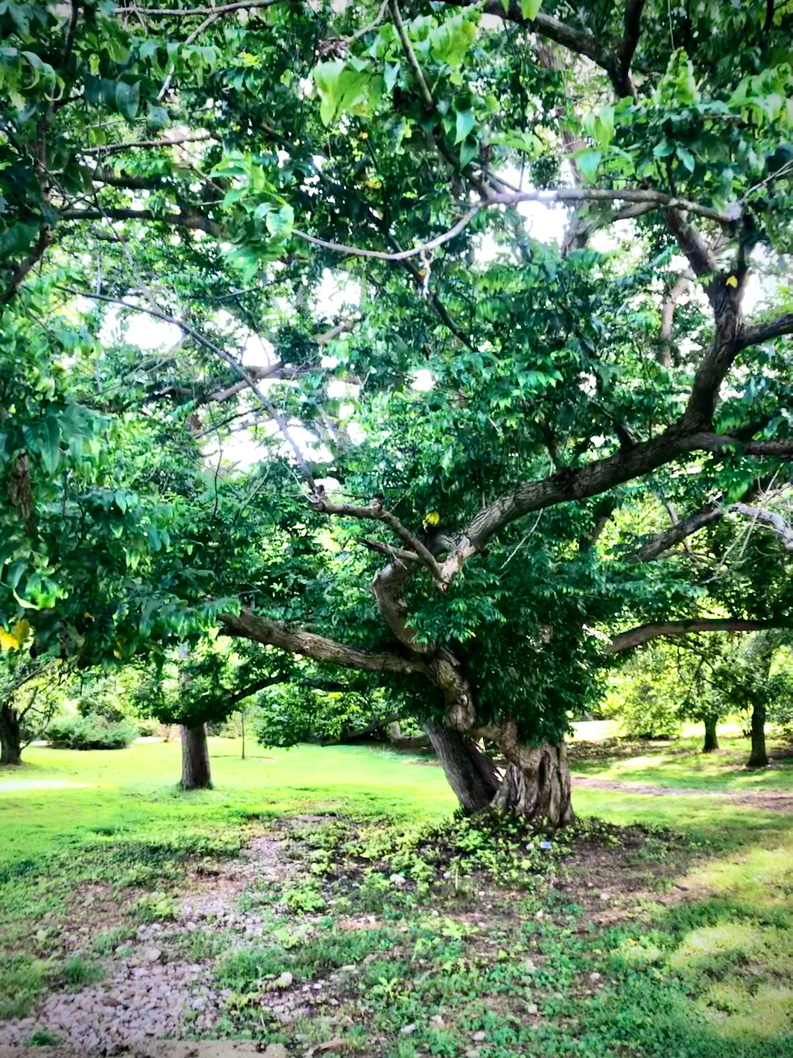 Courtney Stephens - Photographie