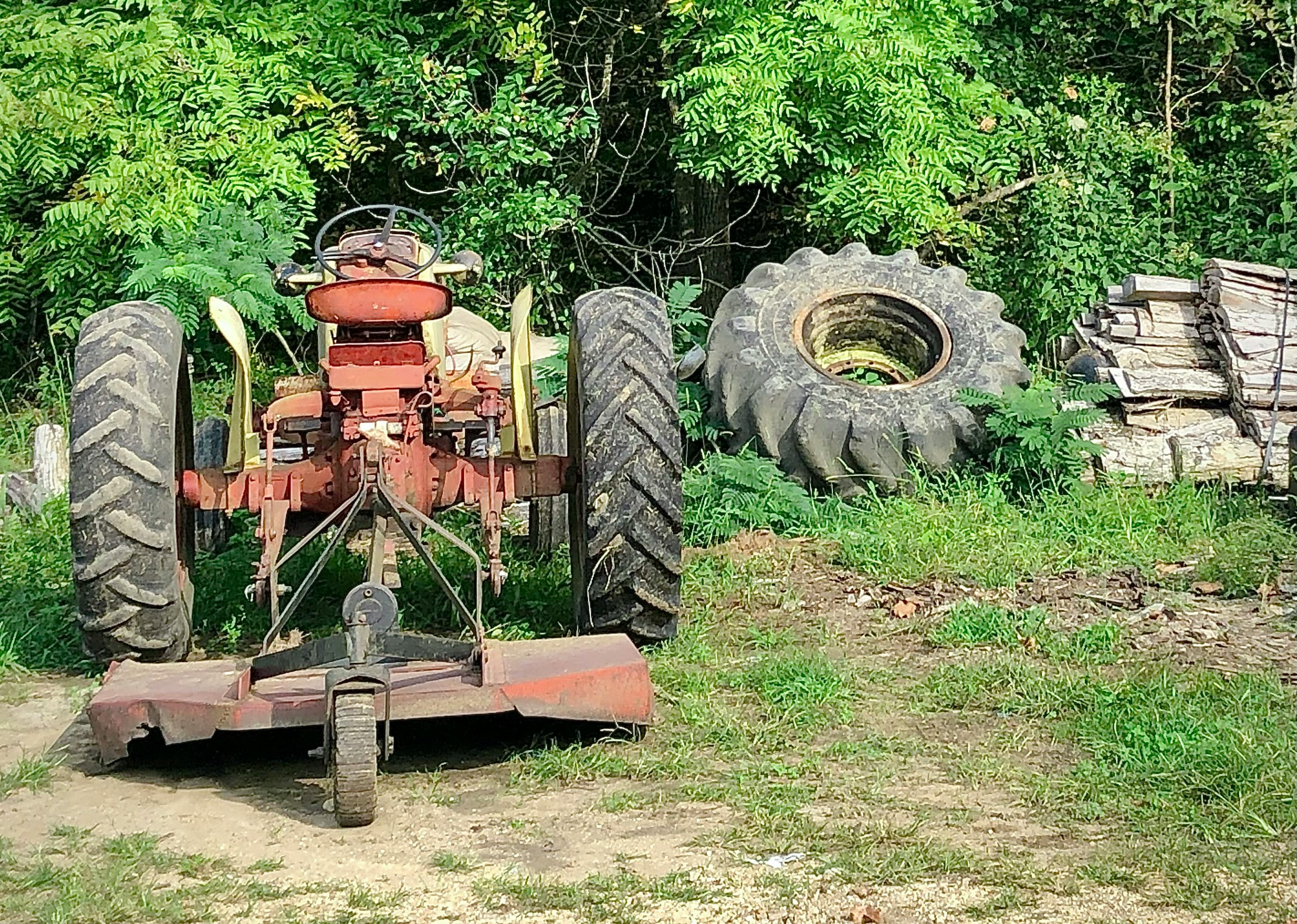 Courtney Stephens - Photographie