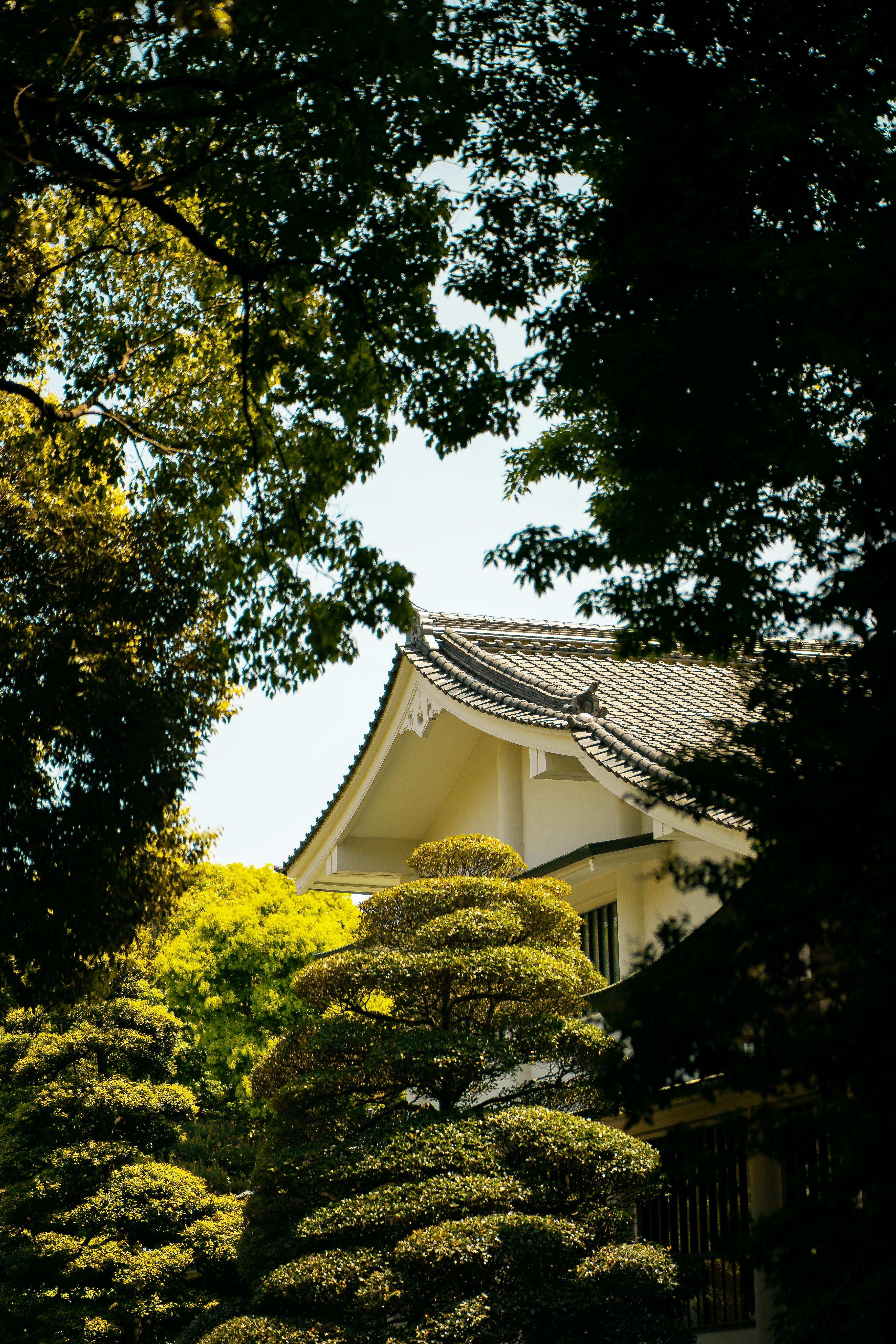 View of a House behind Green Trees · Free Stock Photo