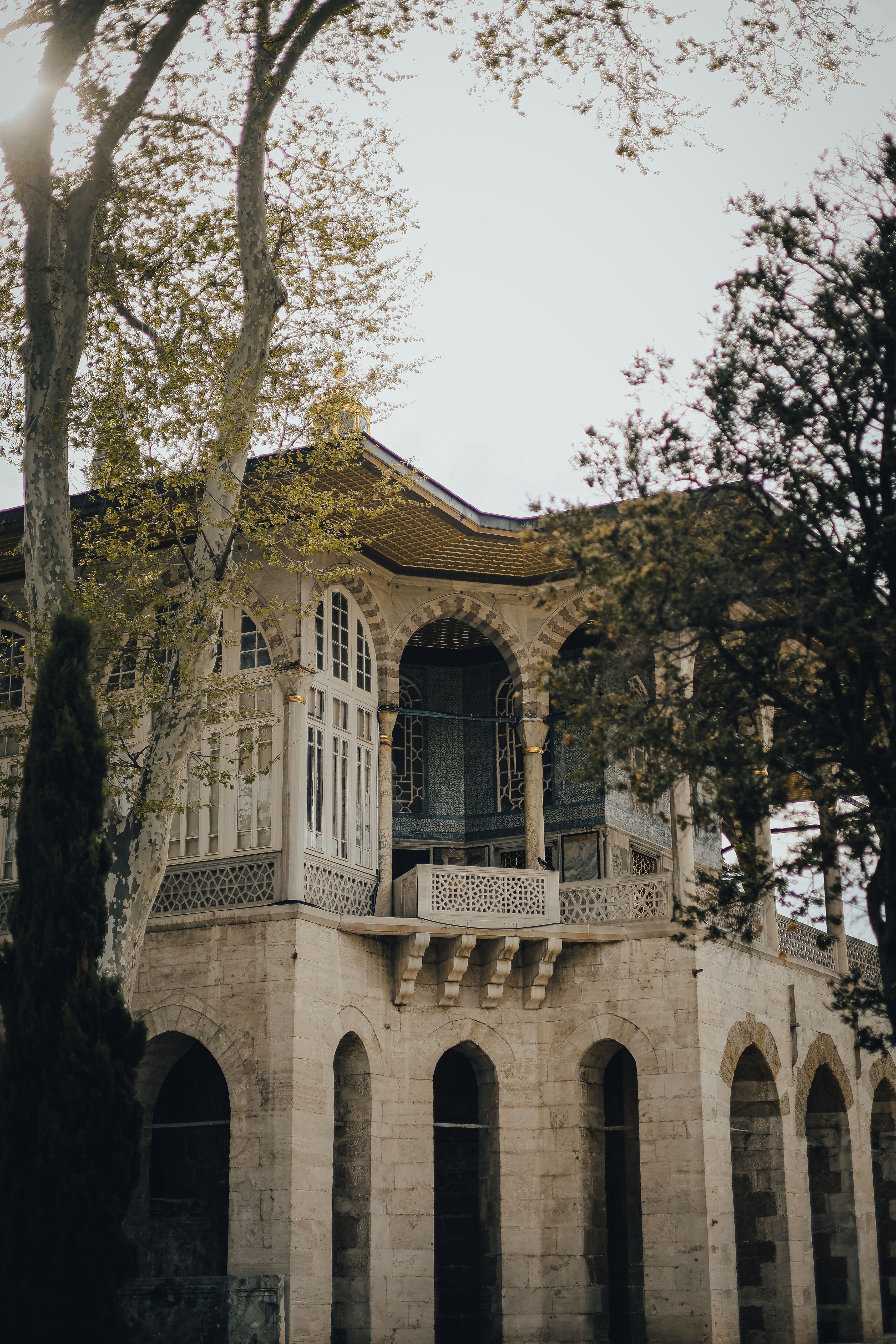 Ornamented Building behind Trees · Free Stock Photo