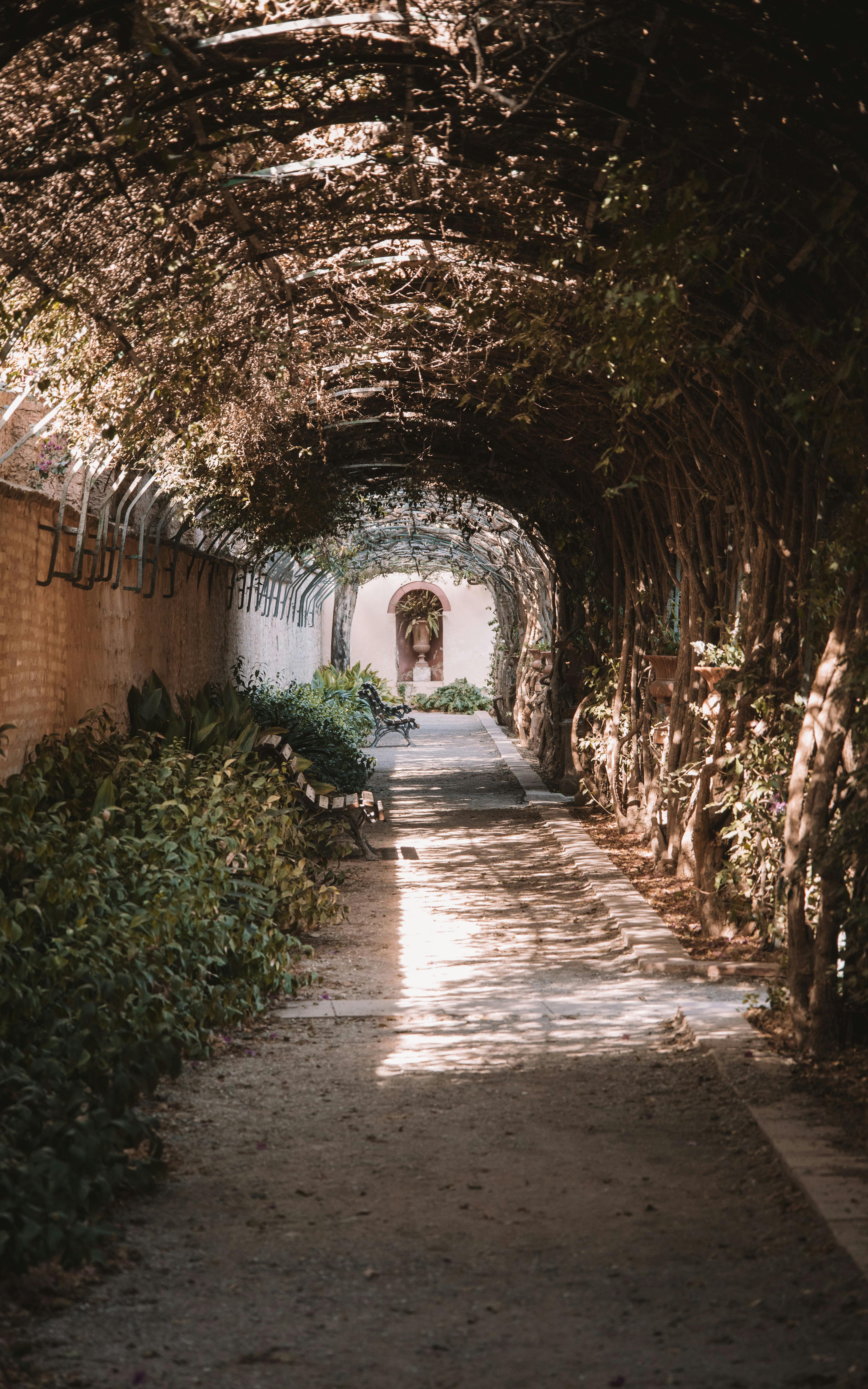 Narrow arched path with antique columns decorated with green plants in ...