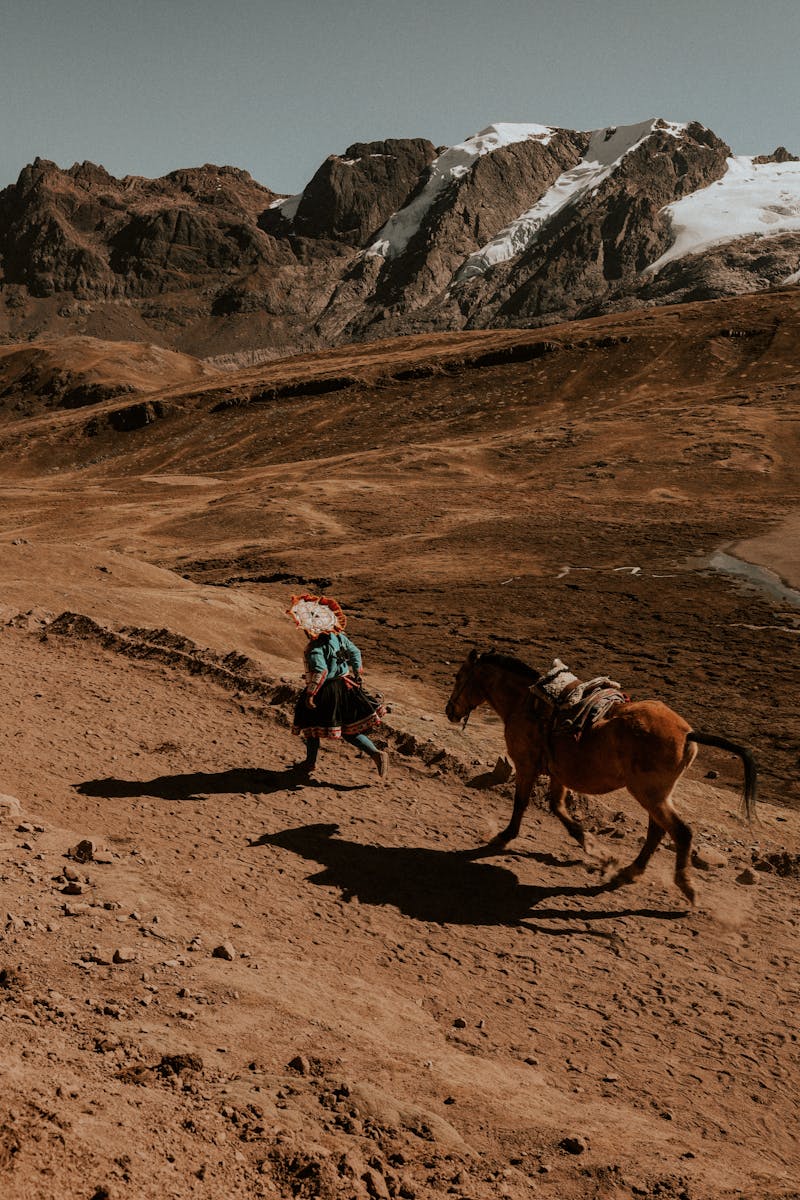 Running Horse Photos, Download The BEST Free Running Horse Stock Photos ...