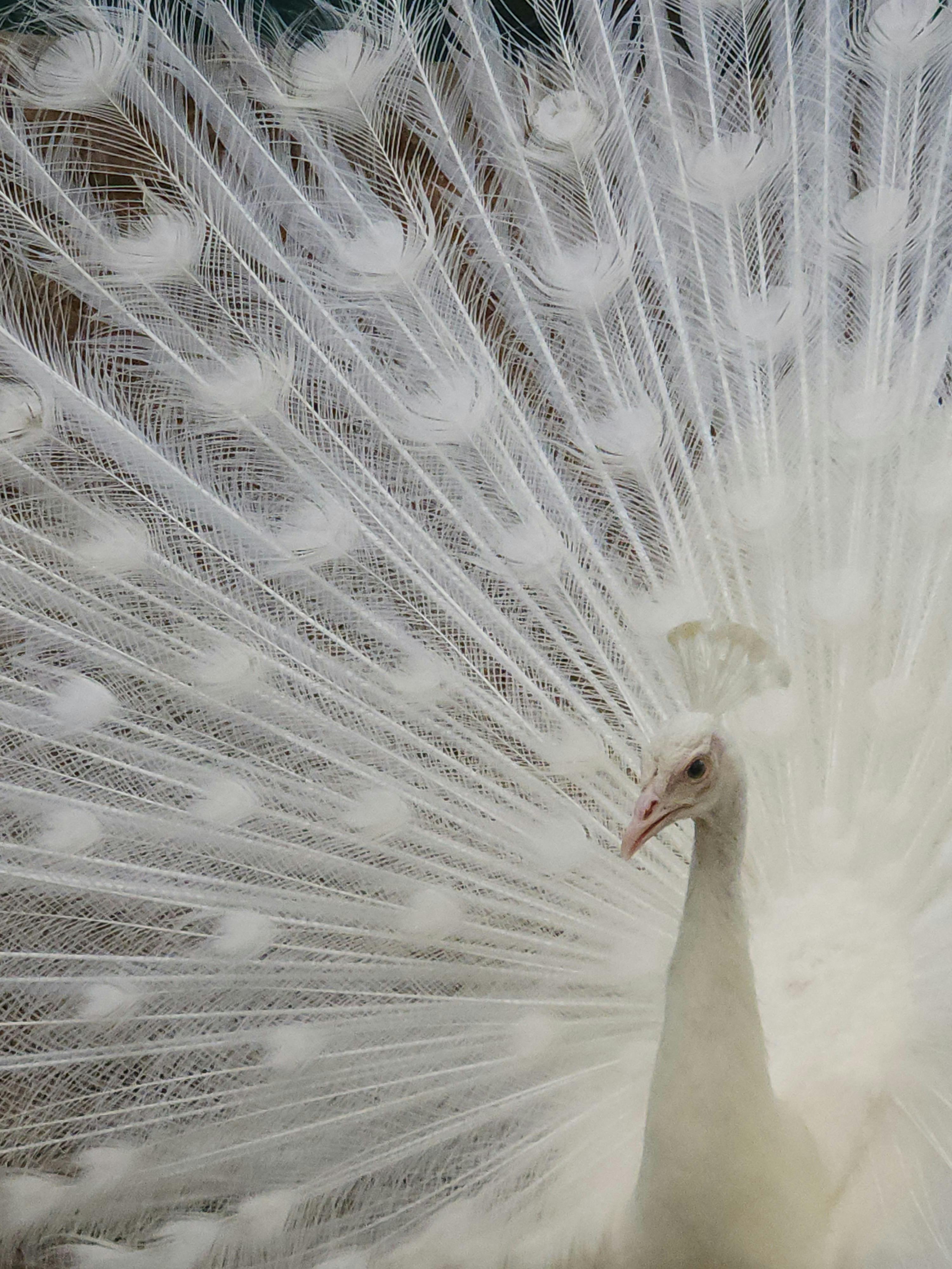 Samuel Wong - Photography