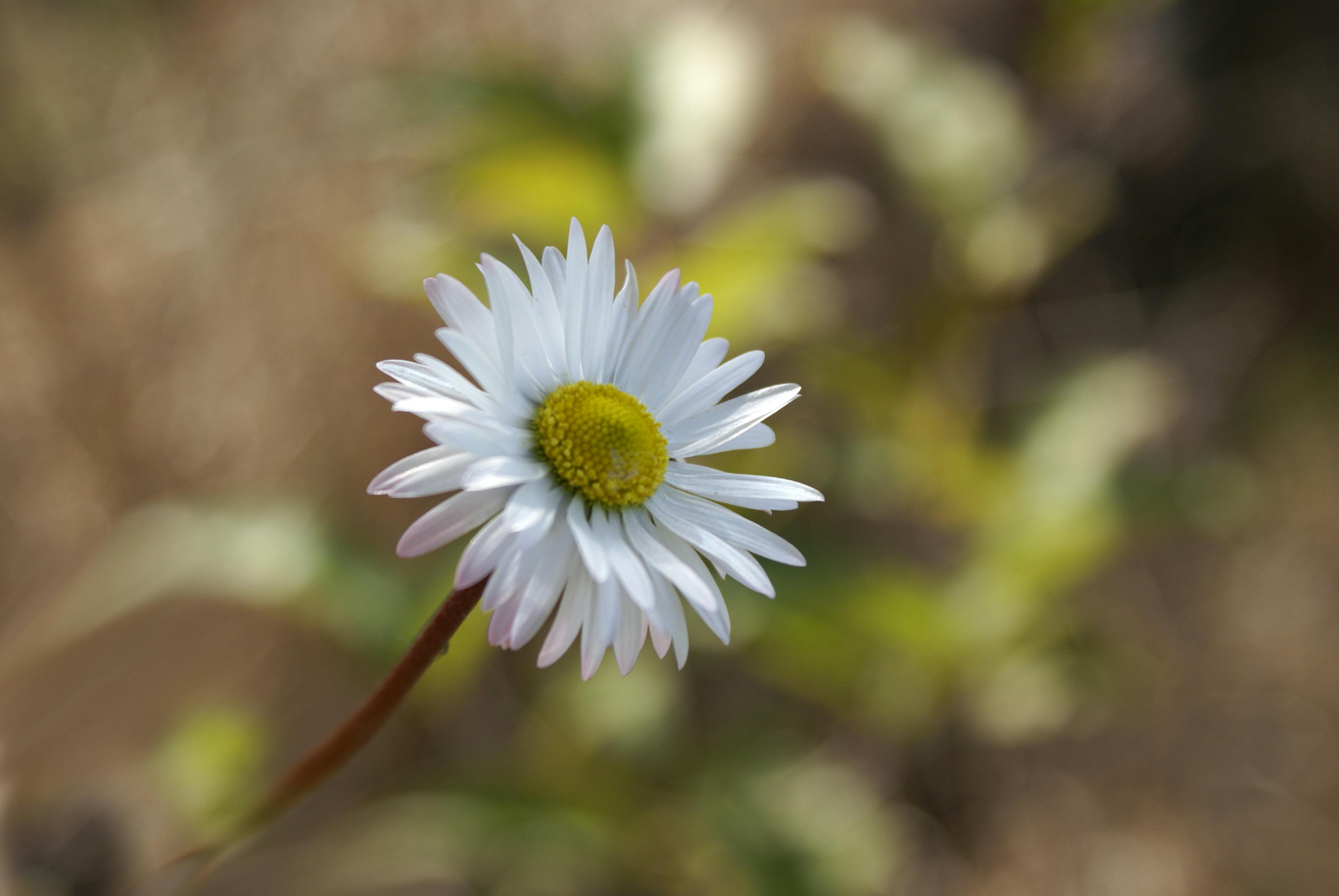 Roman Biernacki - 사진