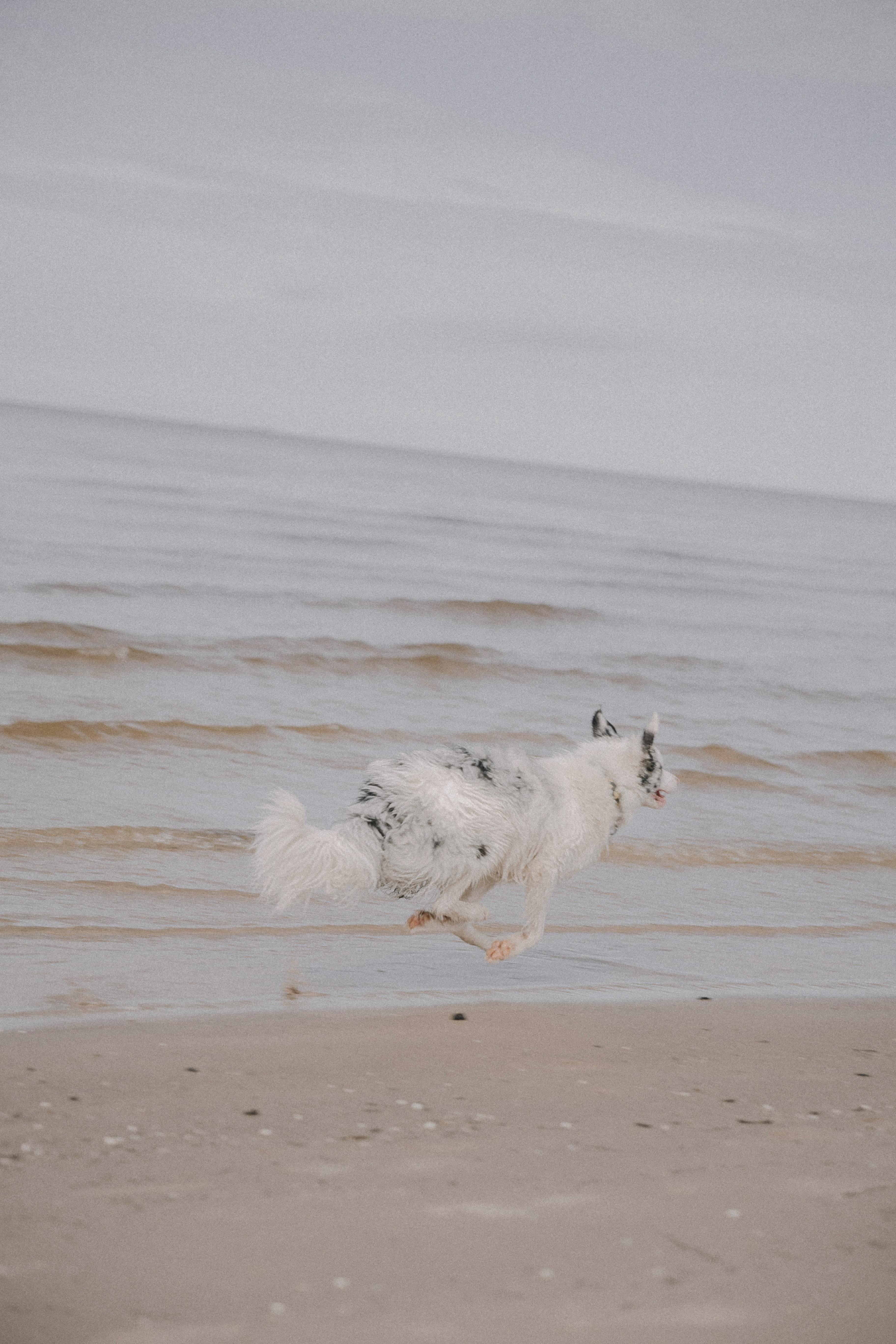 Surprise Action Photos, Download The BEST Free Surprise Action Stock ...