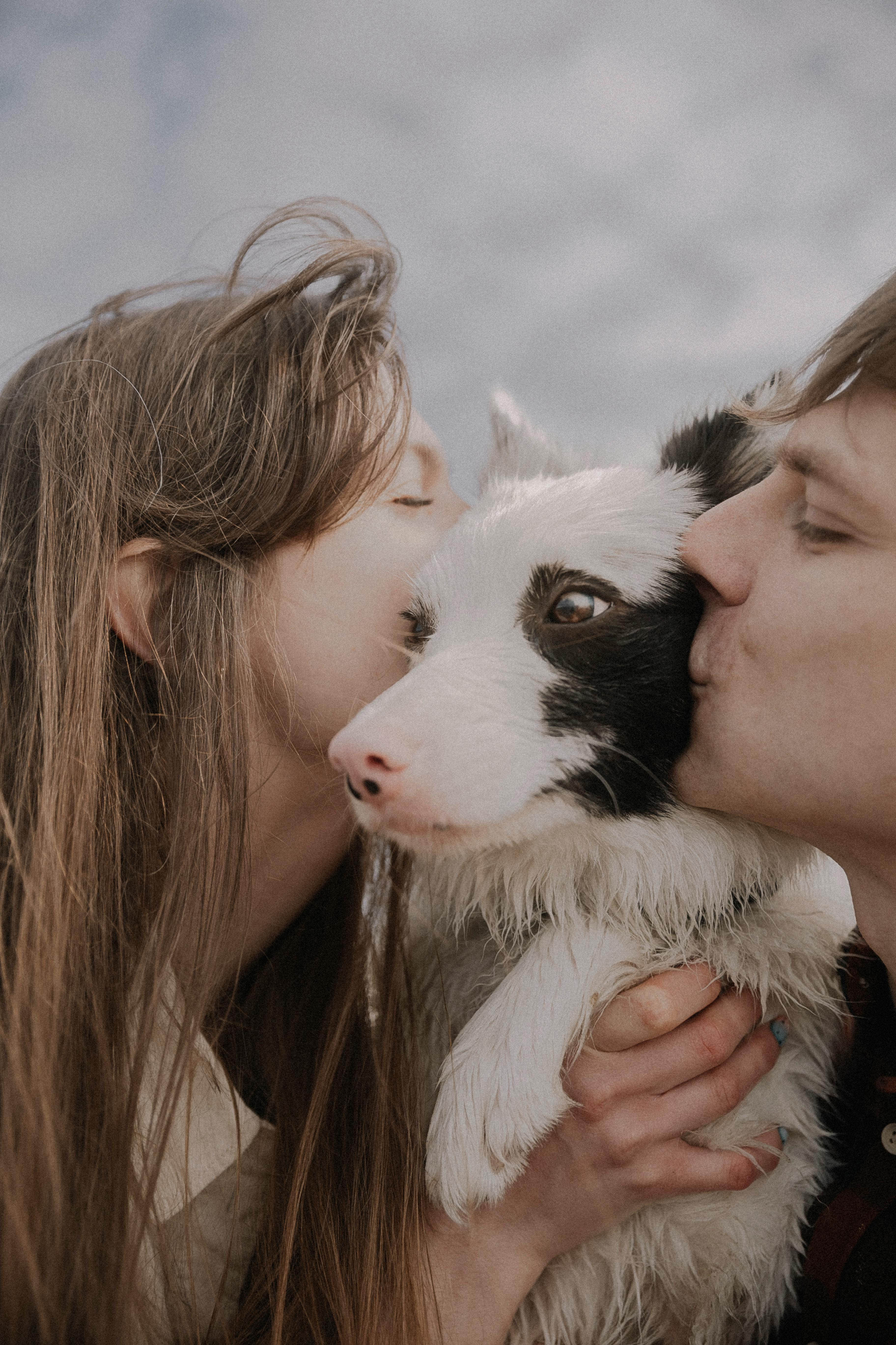 Man and a Woman Kissing a Pet Dog · Free Stock Photo