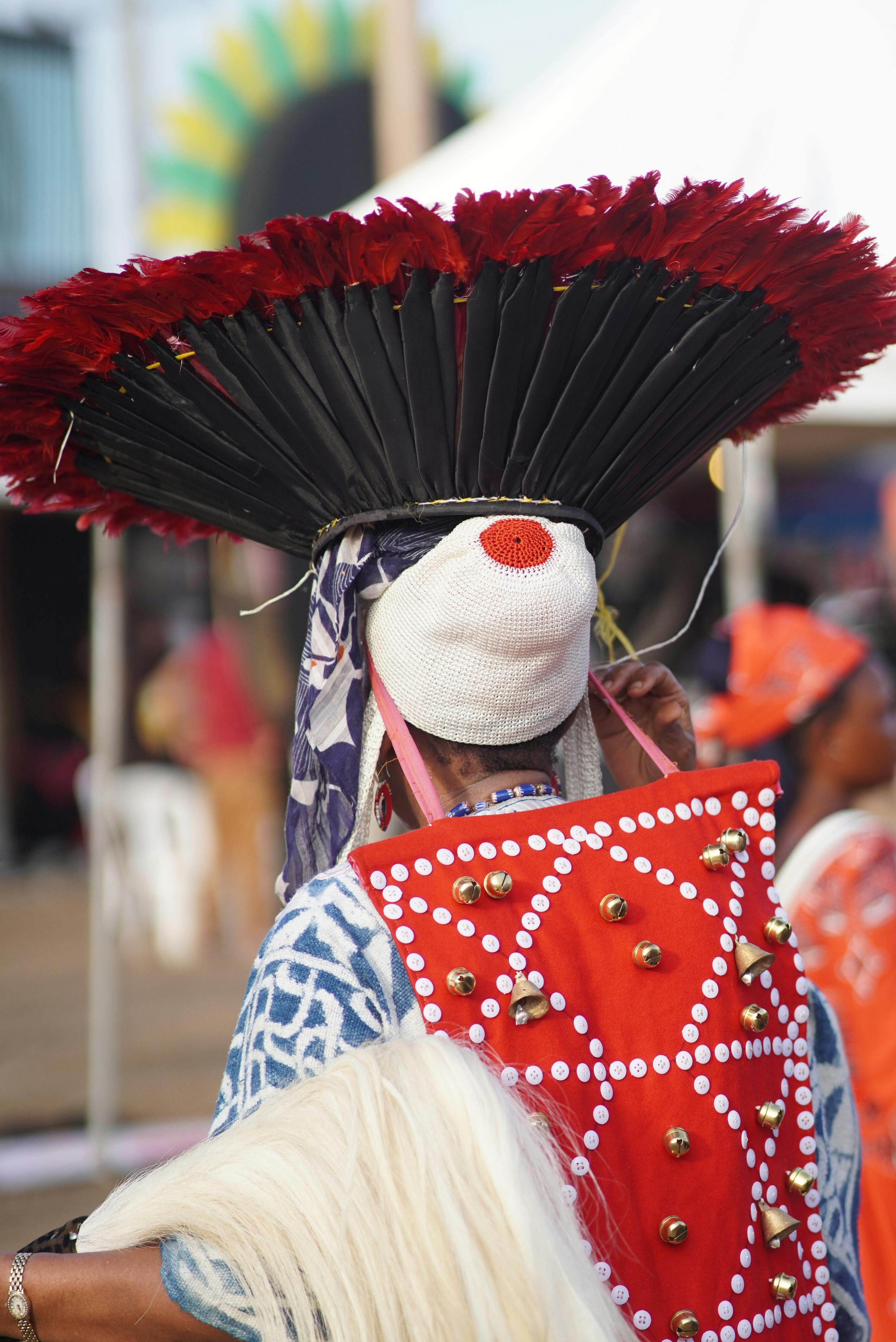 Back View of Person in Traditional Clothing with Plume · Free Stock Photo