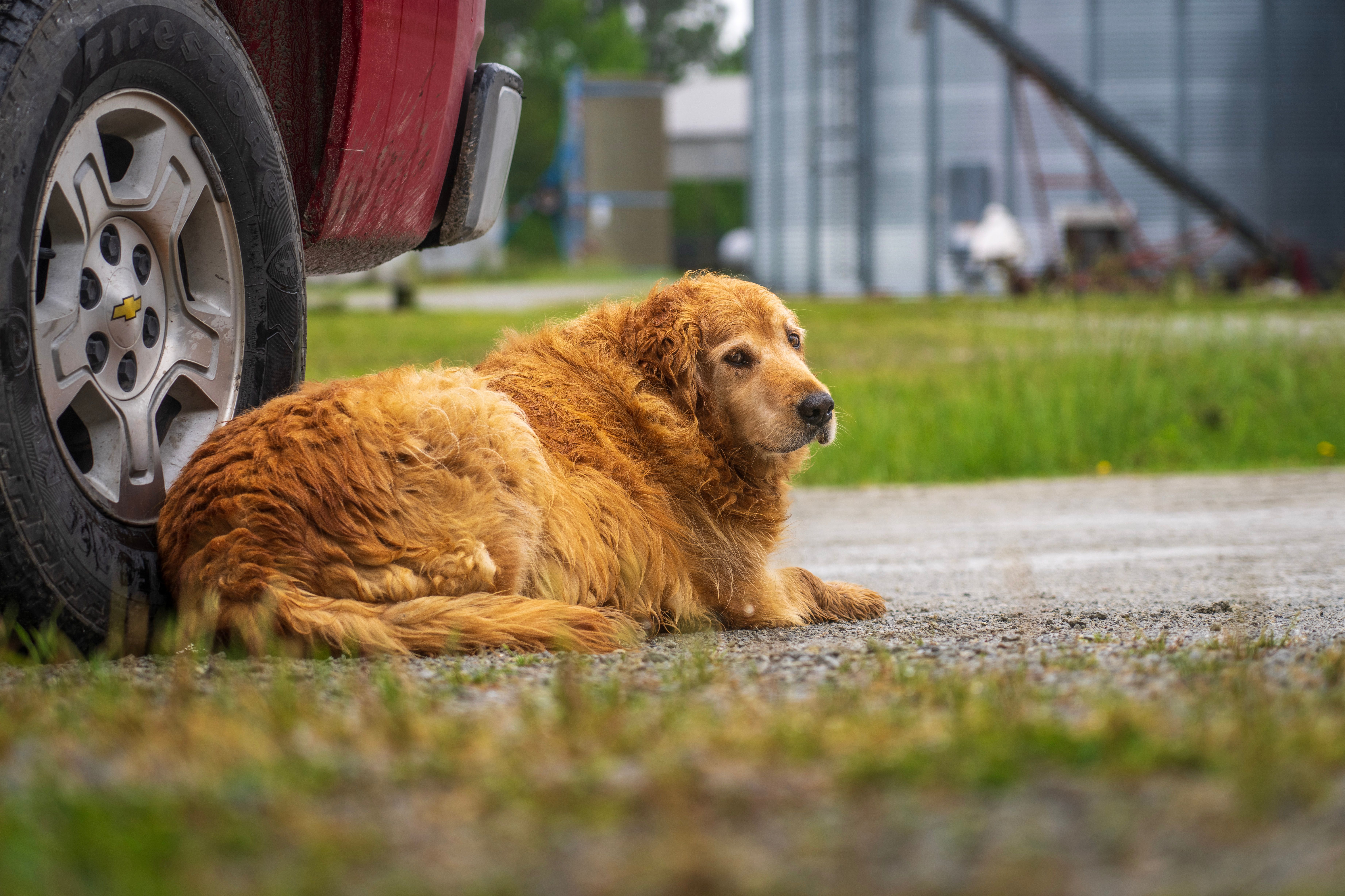 Beste Spill For Barn Photos, Download The BEST Free Beste Spill For ...