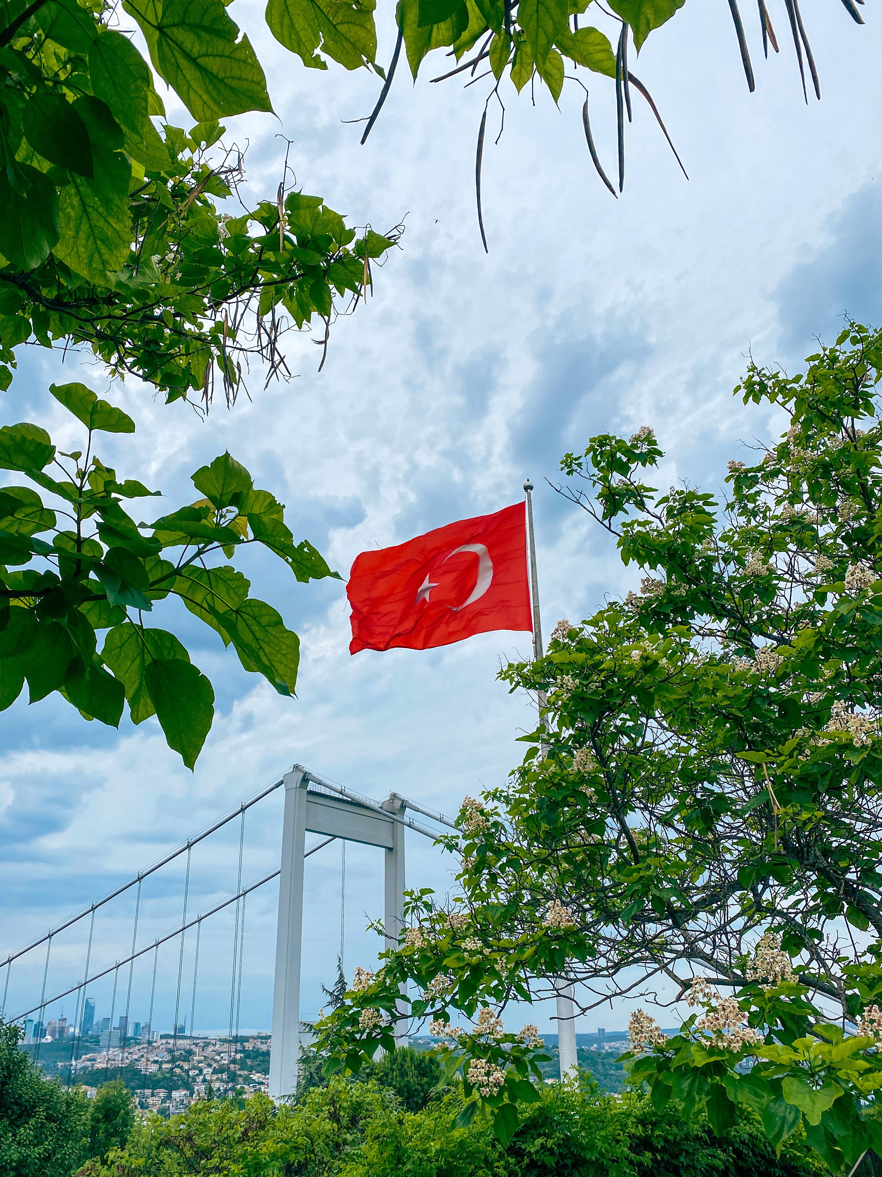 Flag of Turkey near Bridge · Free Stock Photo