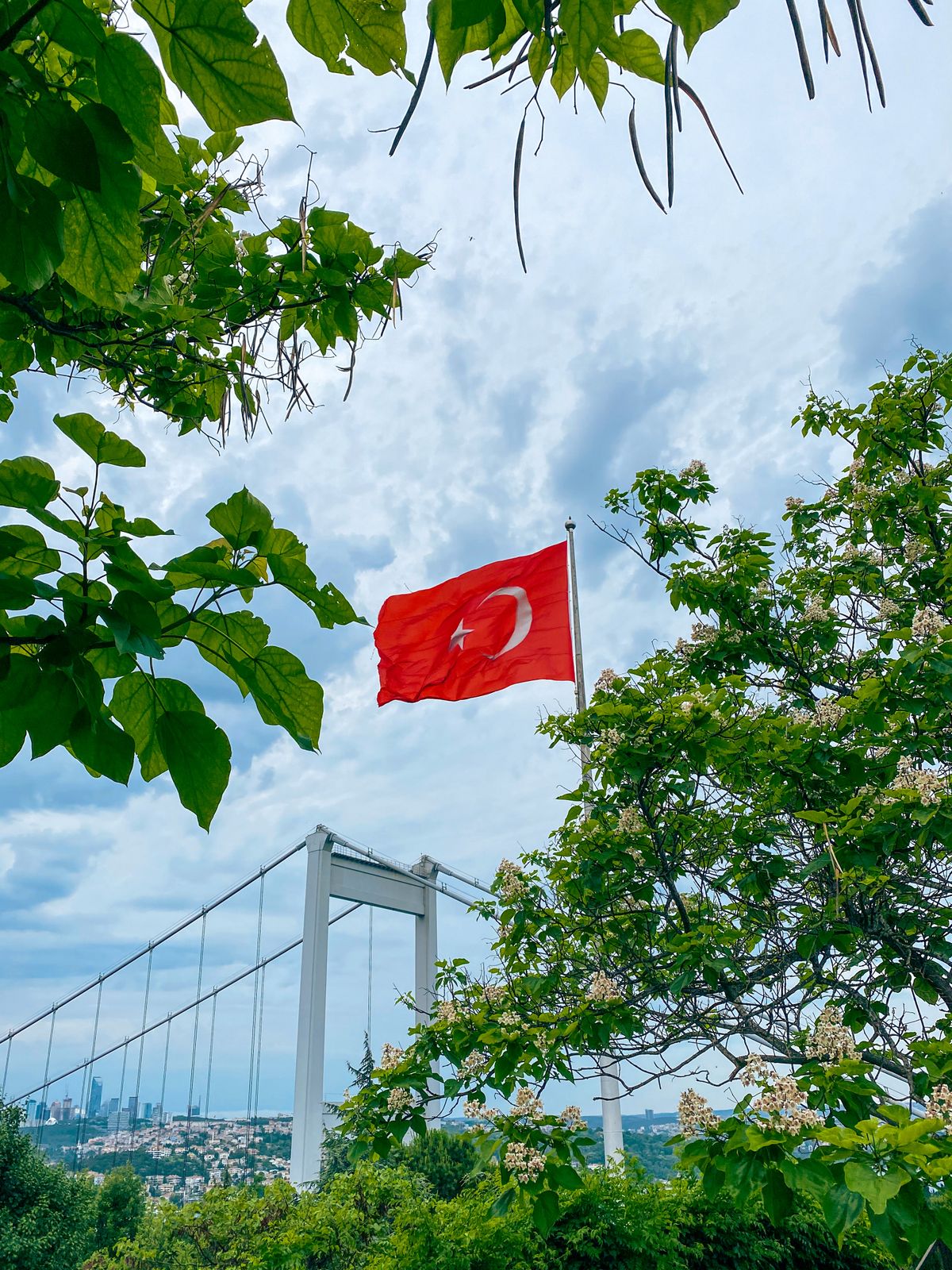 Nec Flag Photos, Download The BEST Free Nec Flag Stock Photos & HD Images