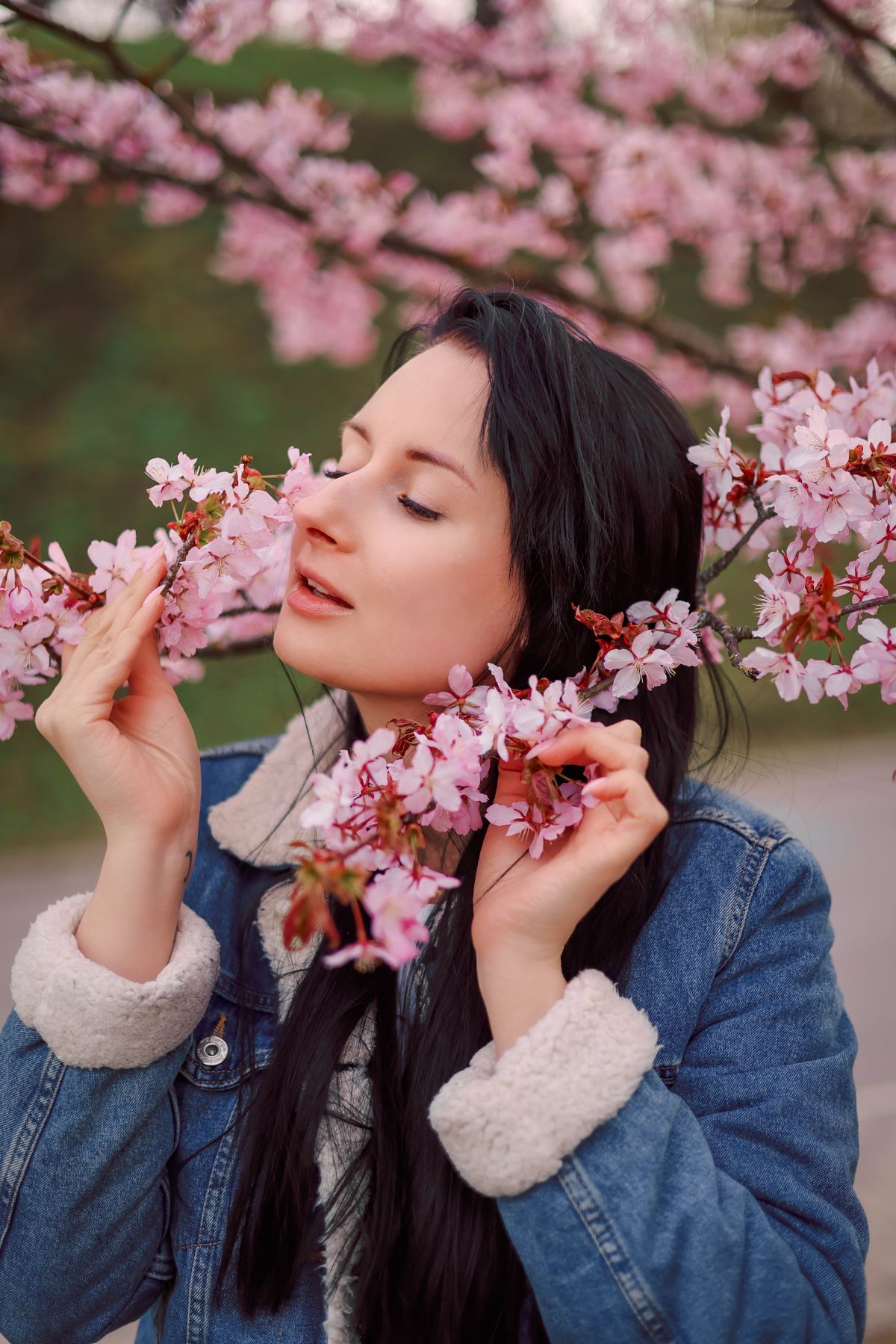 Cherry Branches Photos, Download The BEST Free Cherry Branches Stock ...