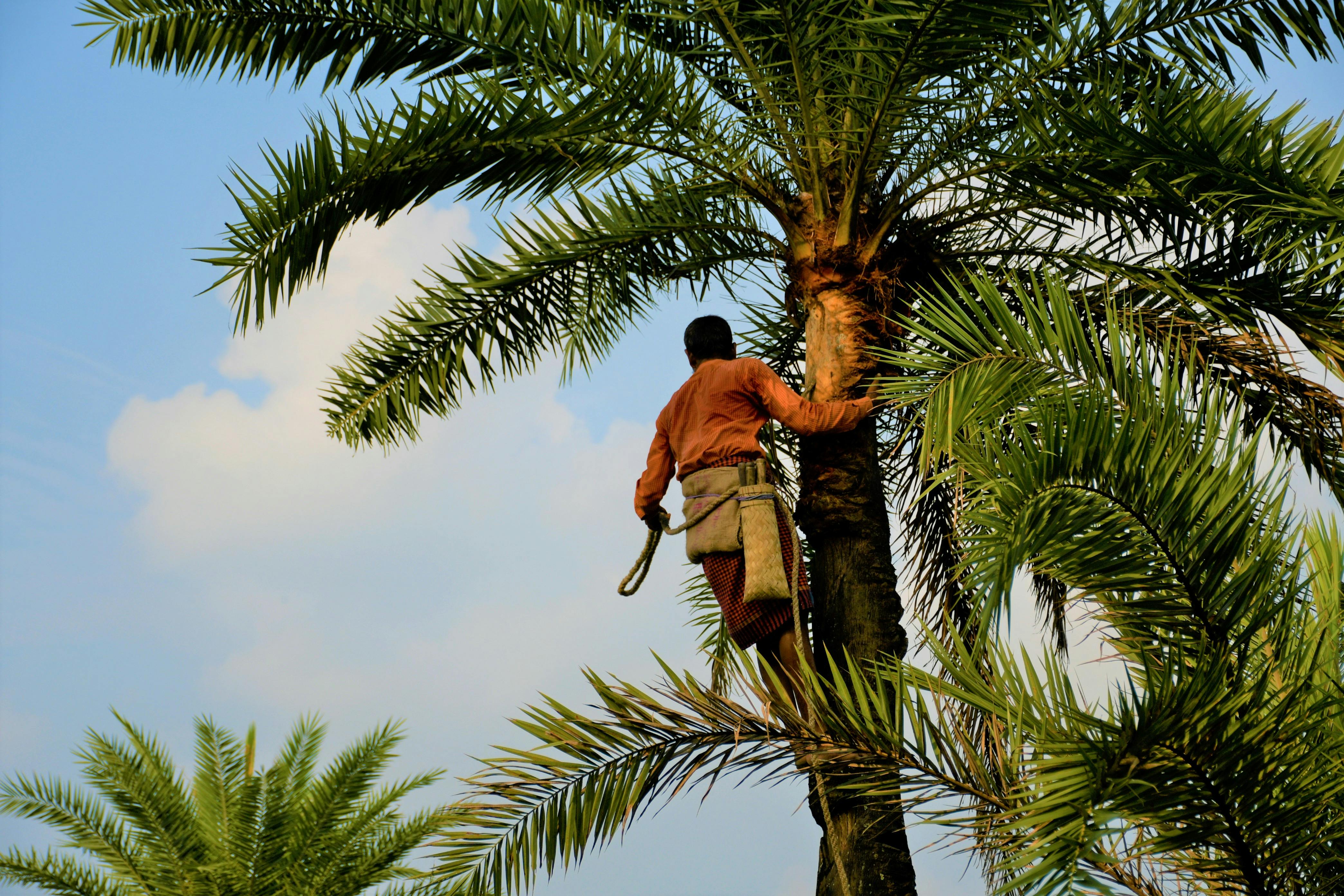 Tema Blu Photos, Download The BEST Free Tema Blu Stock Photos & HD Images