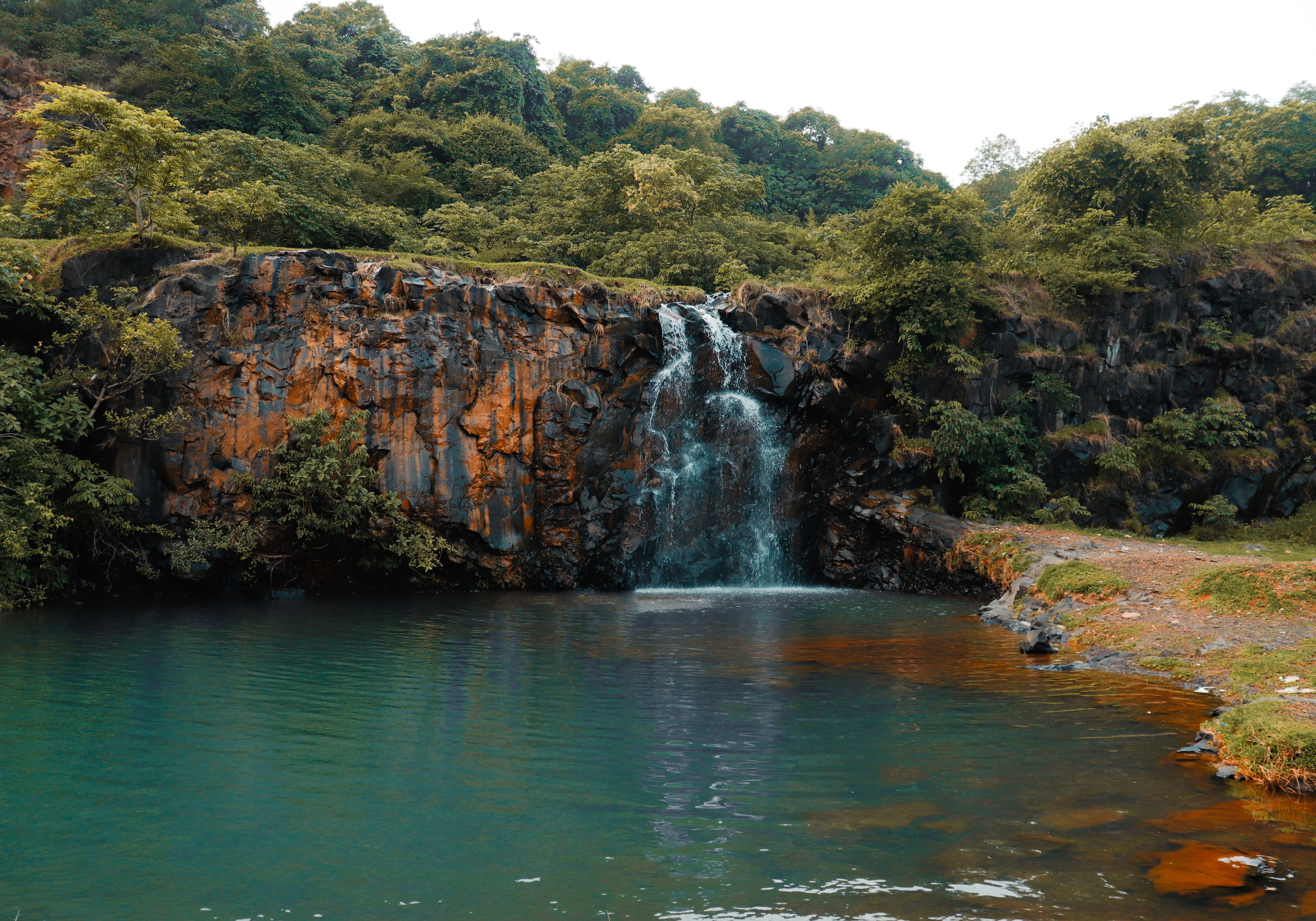Trees around Waterfall · Free Stock Photo
