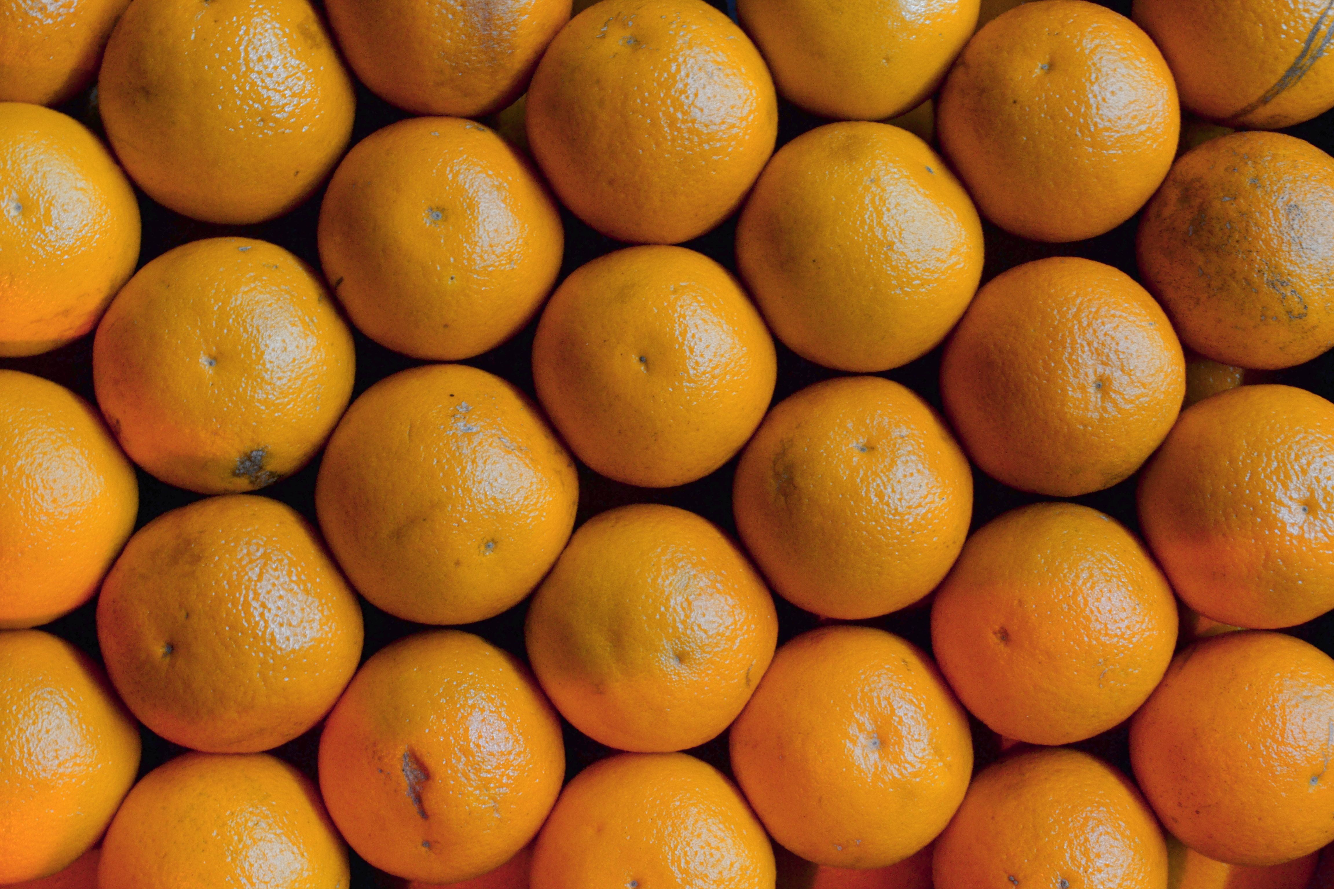Rows of Ripe Tangerines · Free Stock Photo