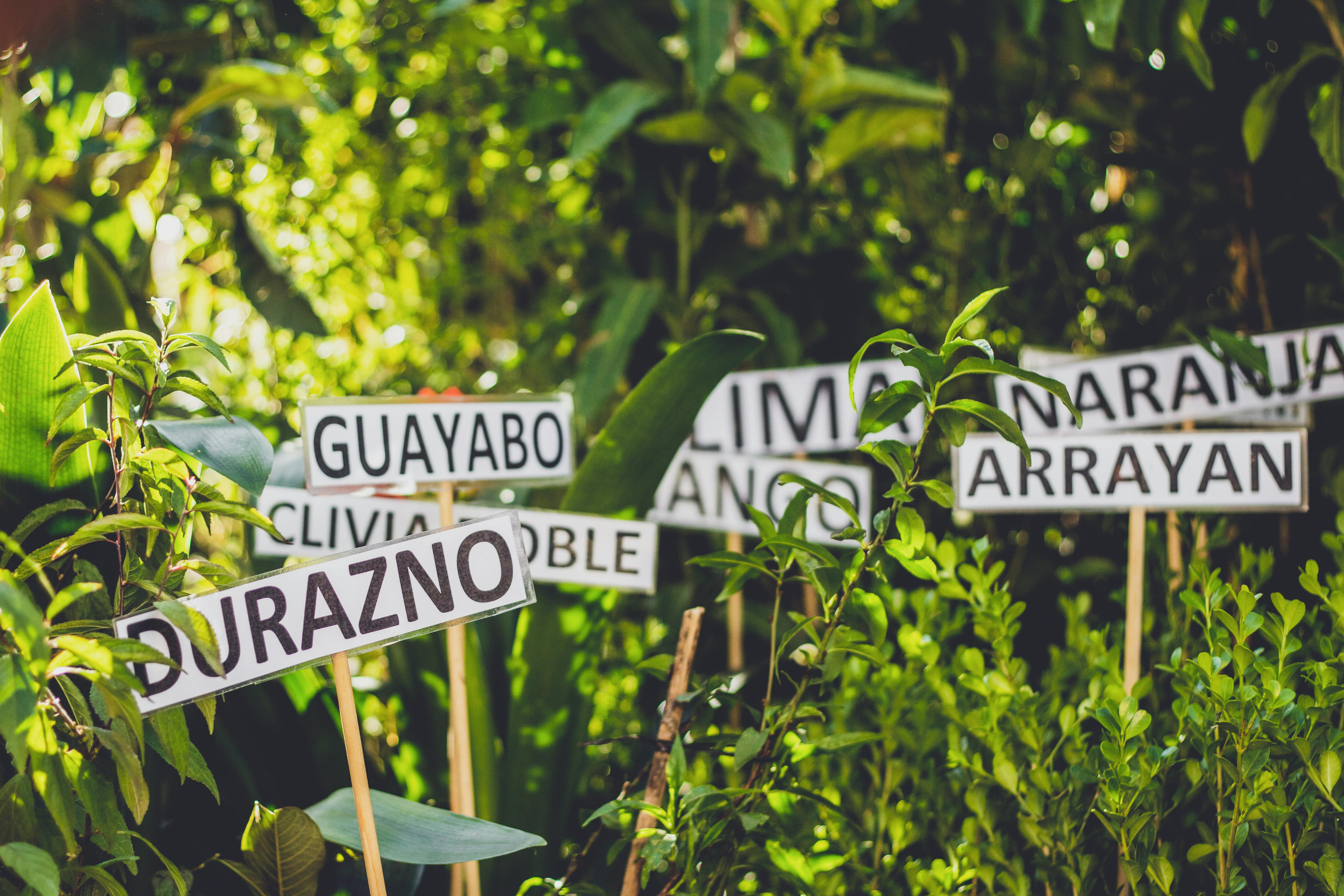 Signs on a Plantation · Free Stock Photo