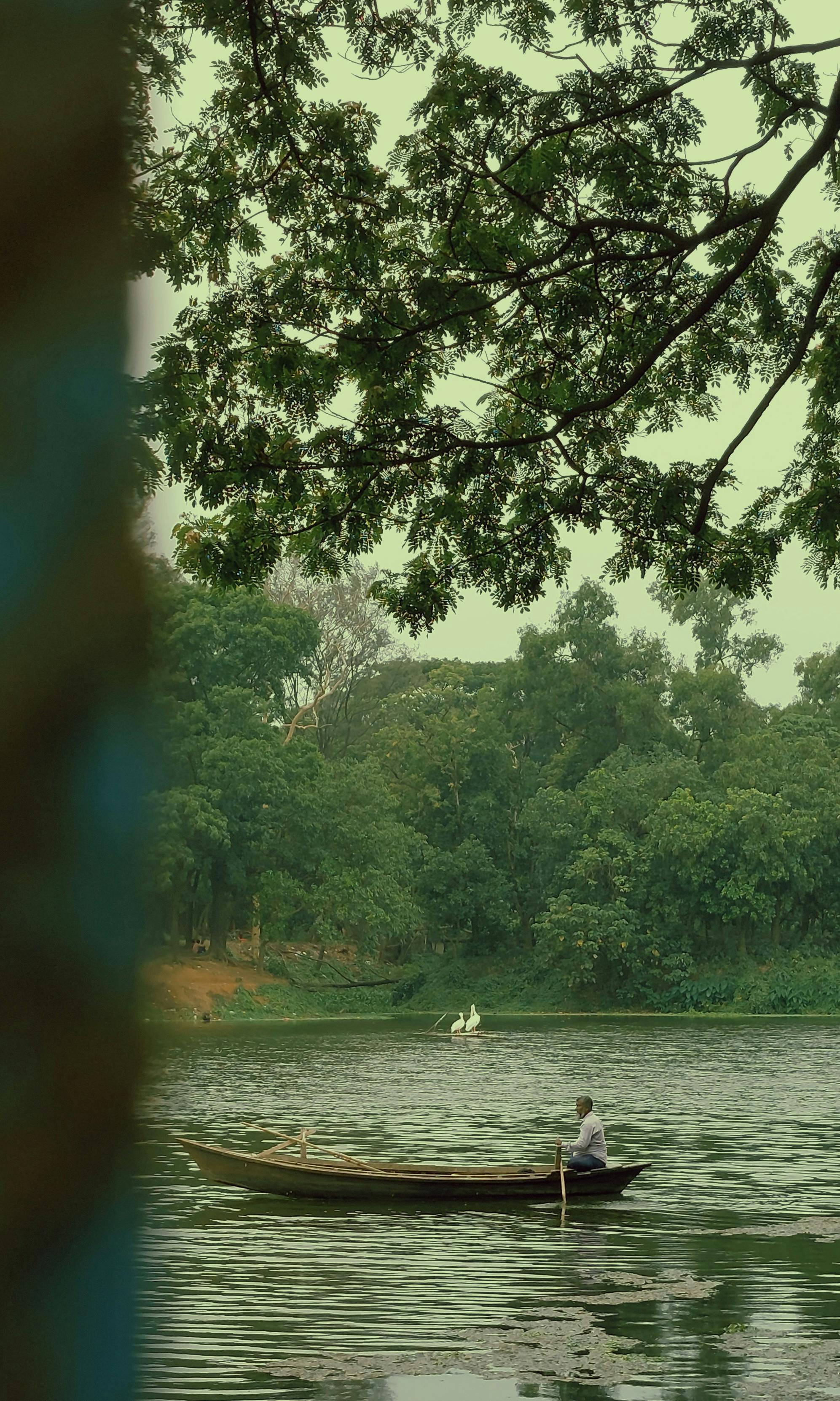 Sadia Ashraf - Photography