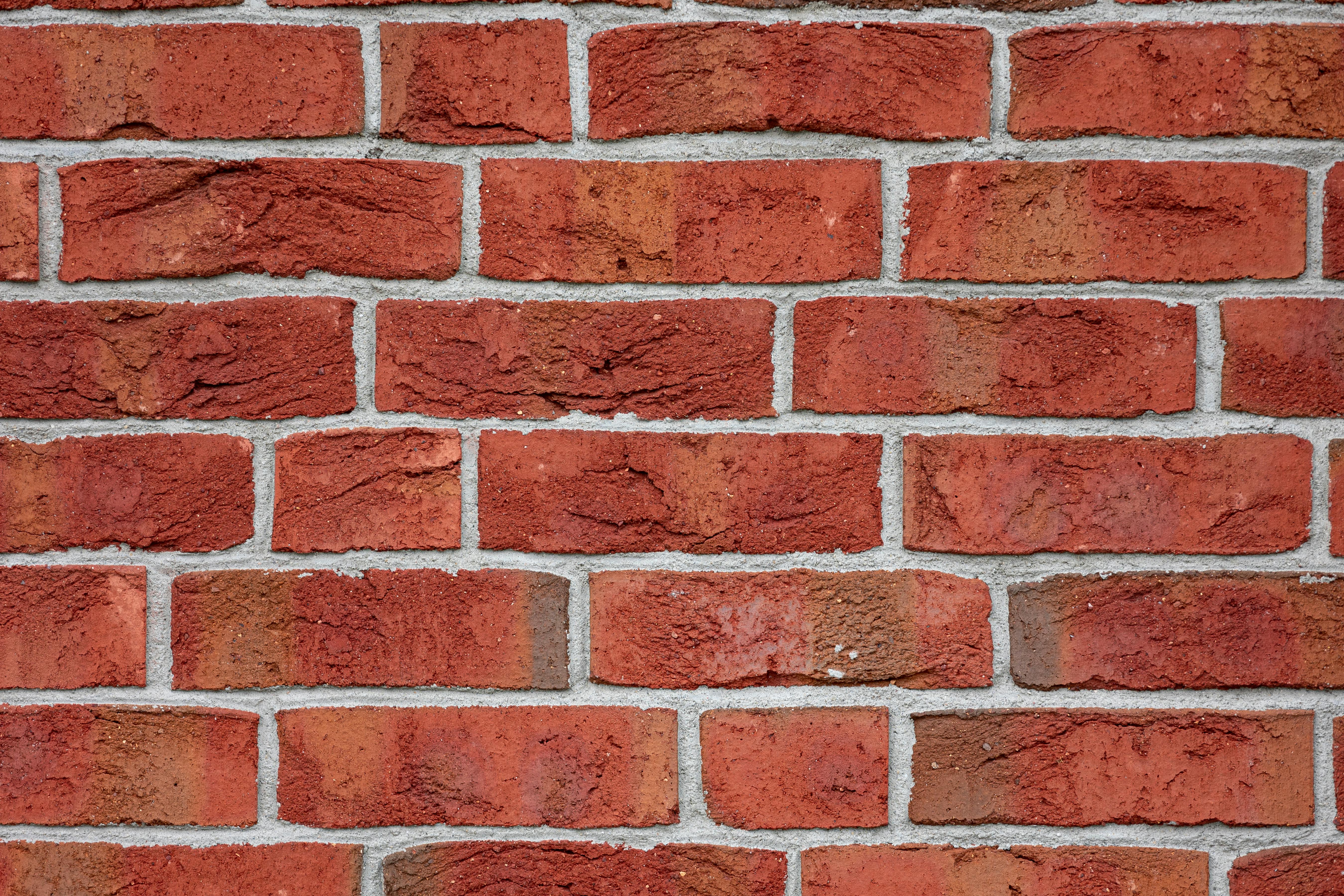 Bricks on Wall · Free Stock Photo