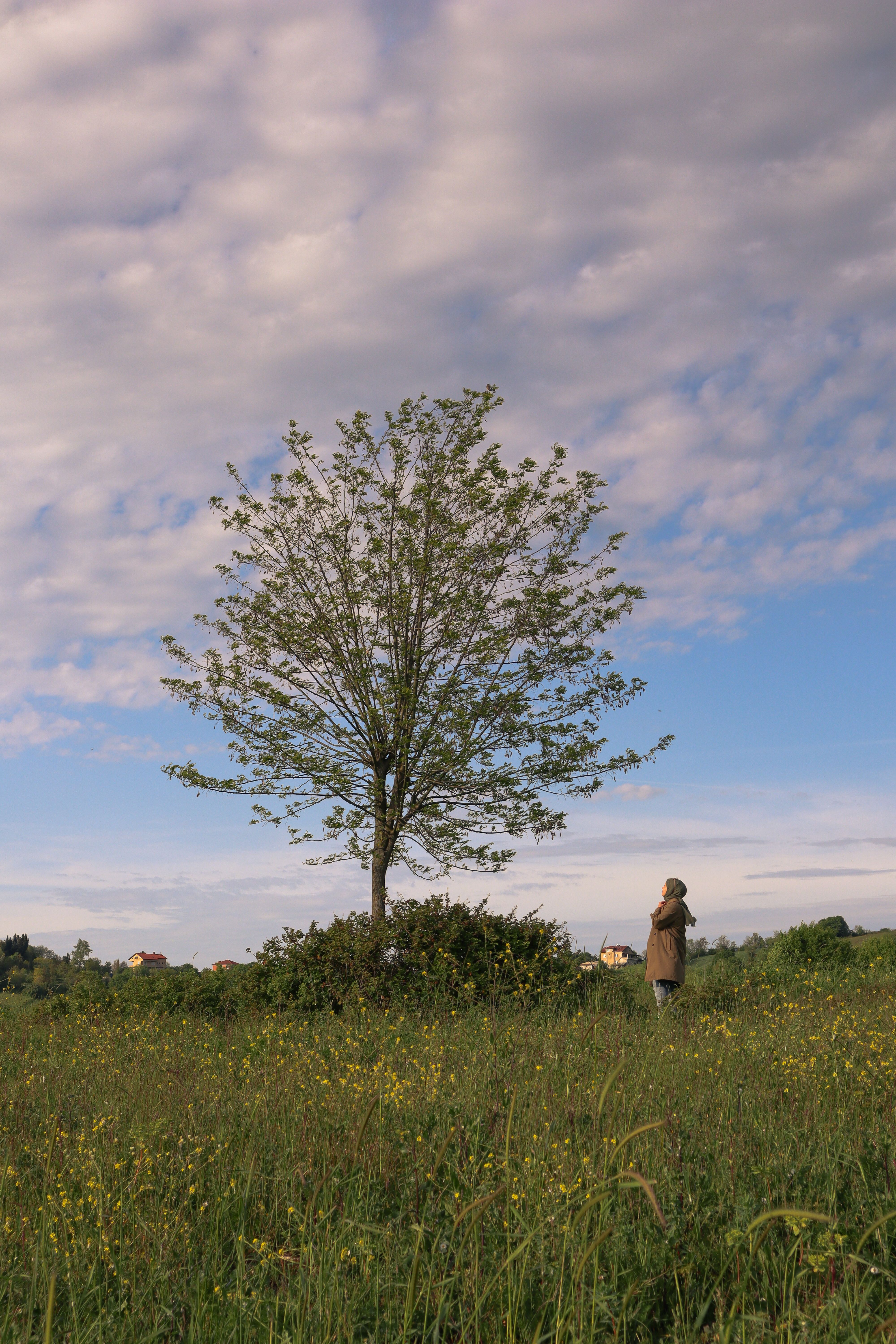 Woman Standing in a Field next to the Tree · Free Stock Photo