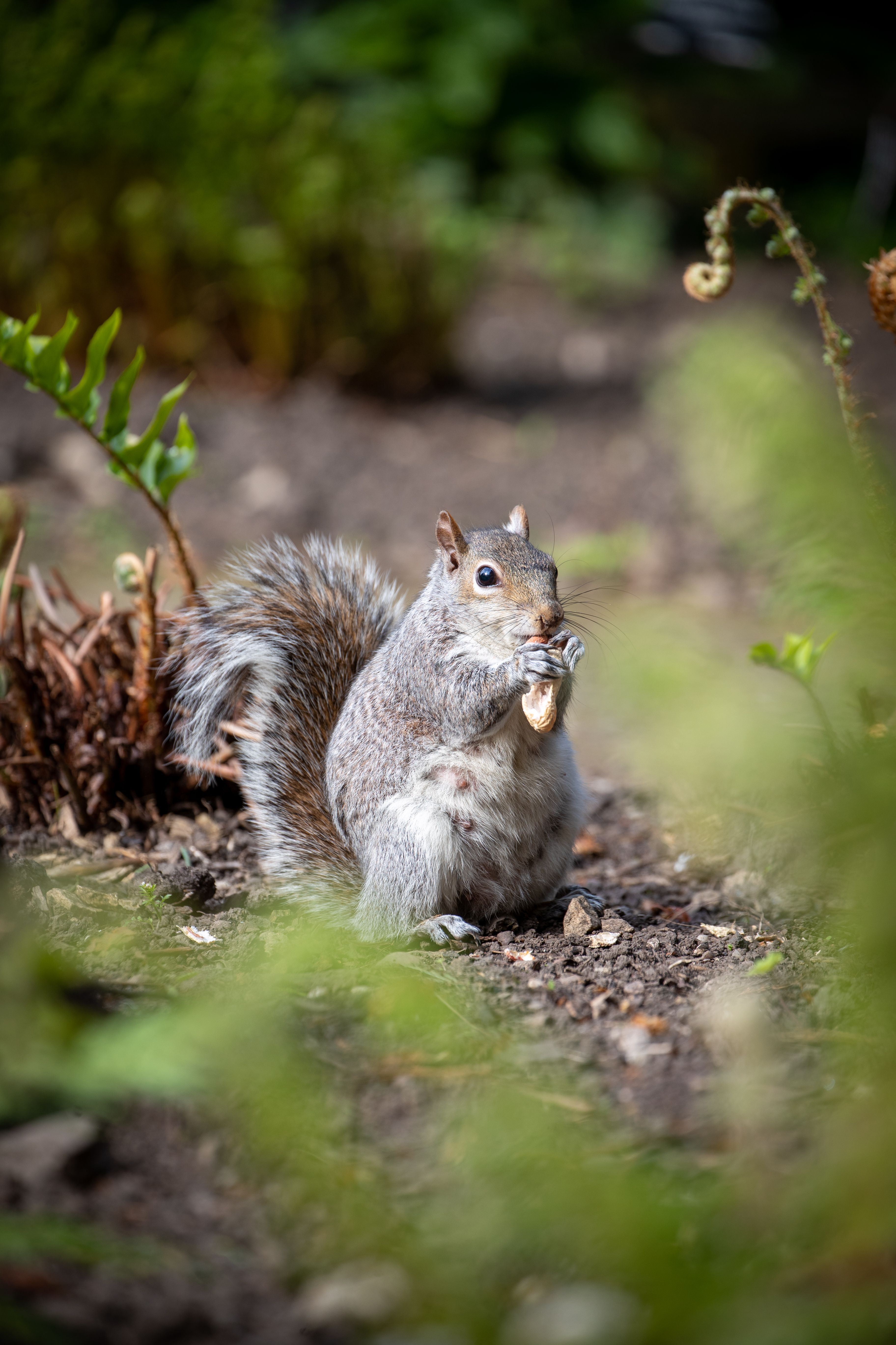 Cute Zoom Background Photos, Download The BEST Free Cute Zoom ...