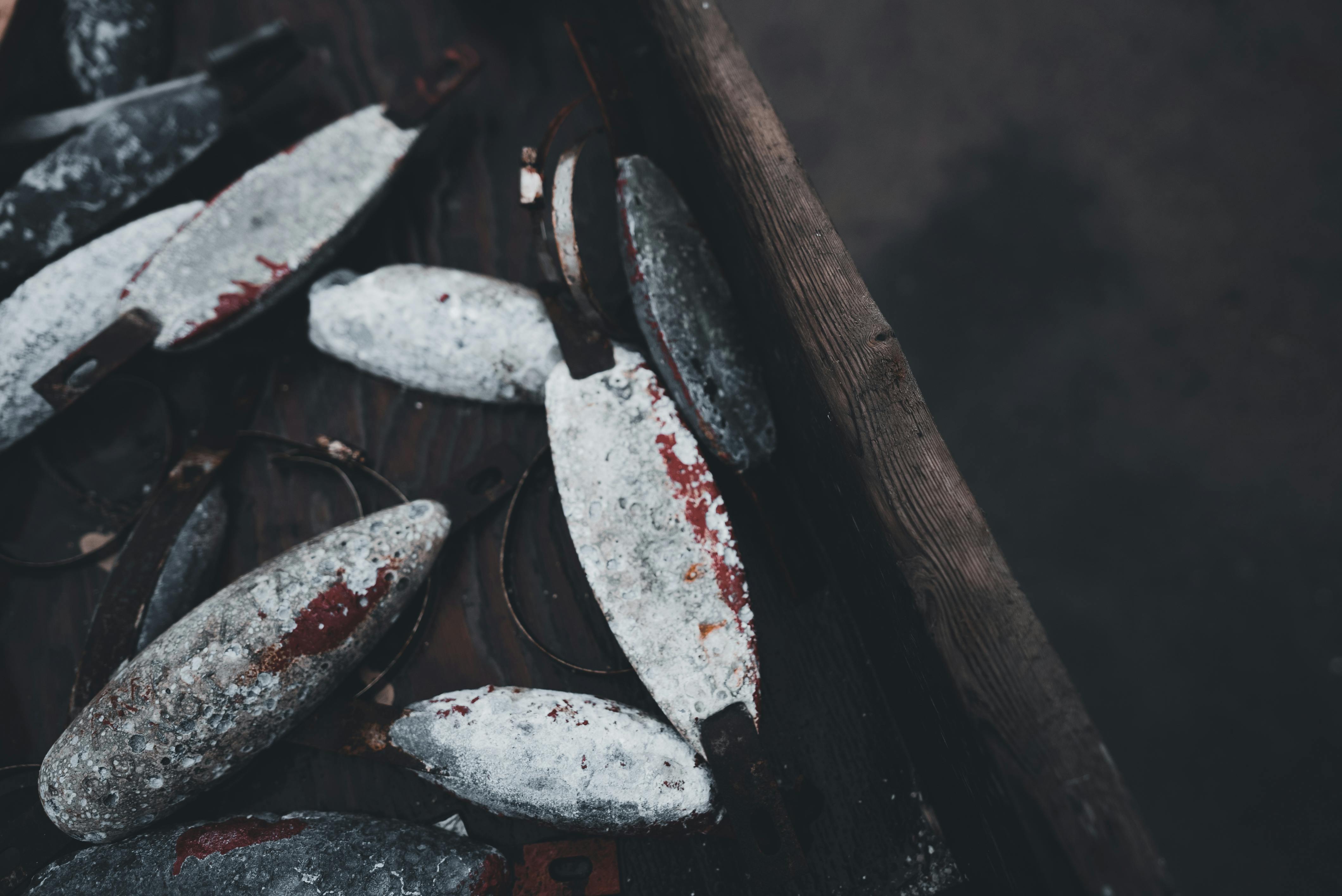 Fish Using Tools Photos, Download The BEST Free Fish Using Tools Stock ...