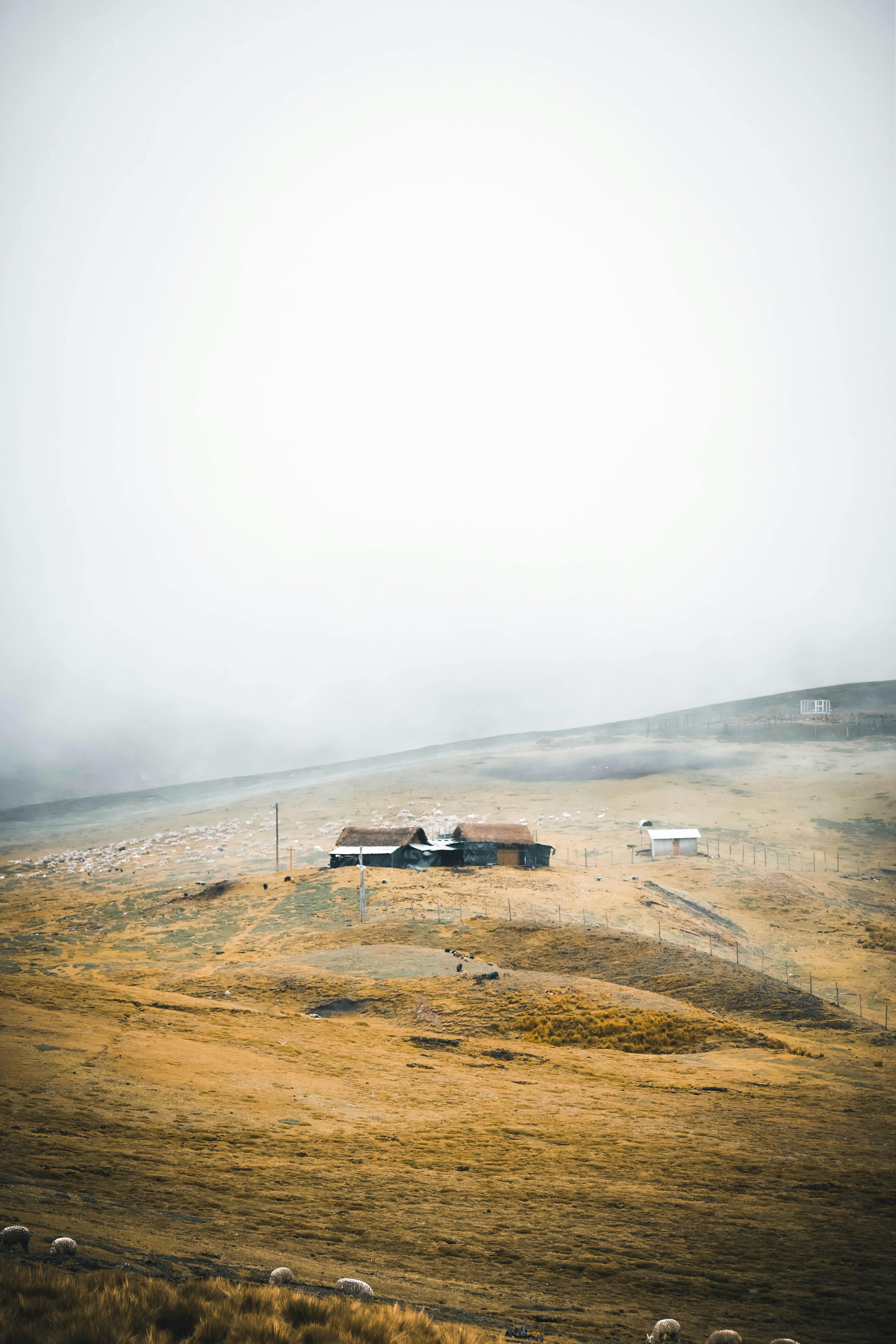 Fuel Farm Photos, Download The BEST Free Fuel Farm Stock Photos & HD Images