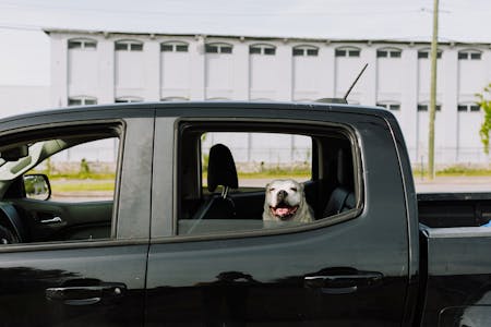 The Rise of AI-Driven Uber: Revolutionizing the Future of Transportation