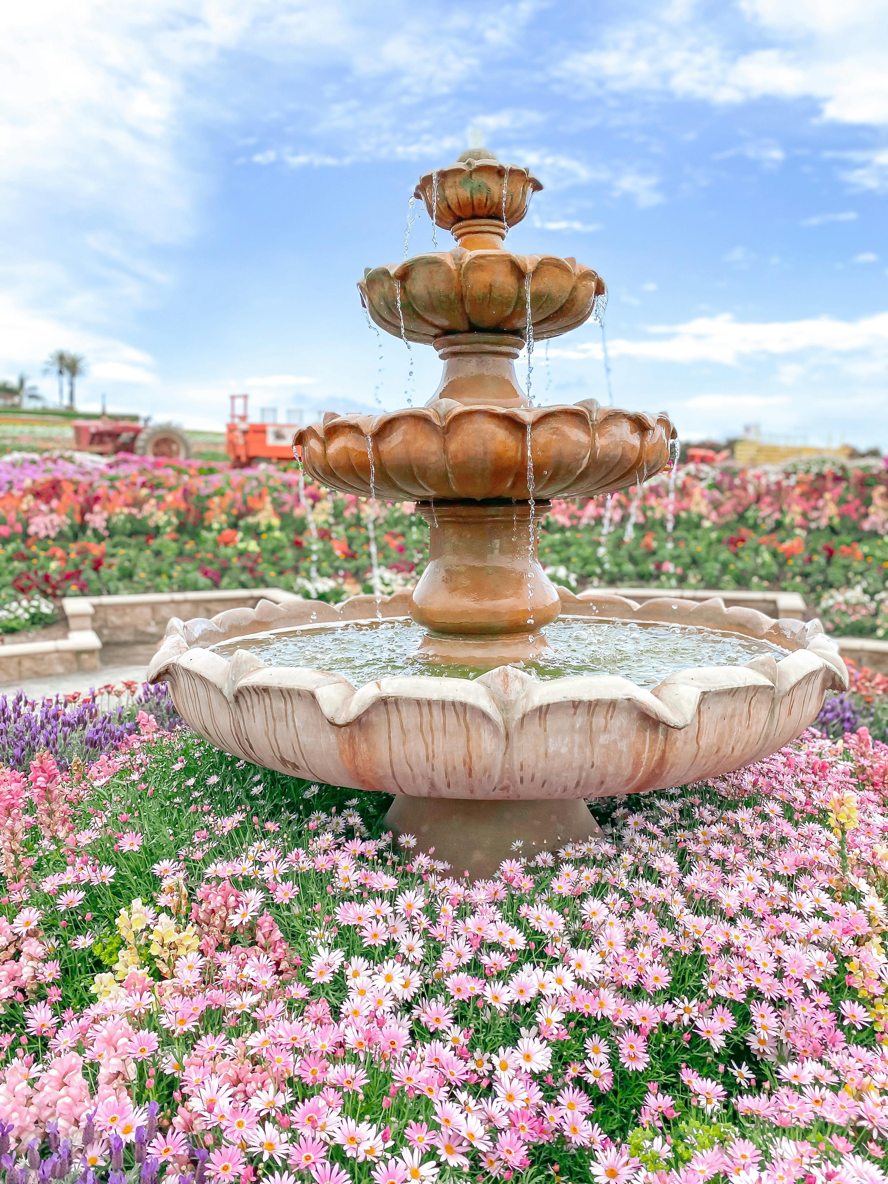 Colorful Flowers around Fountain · Free Stock Photo