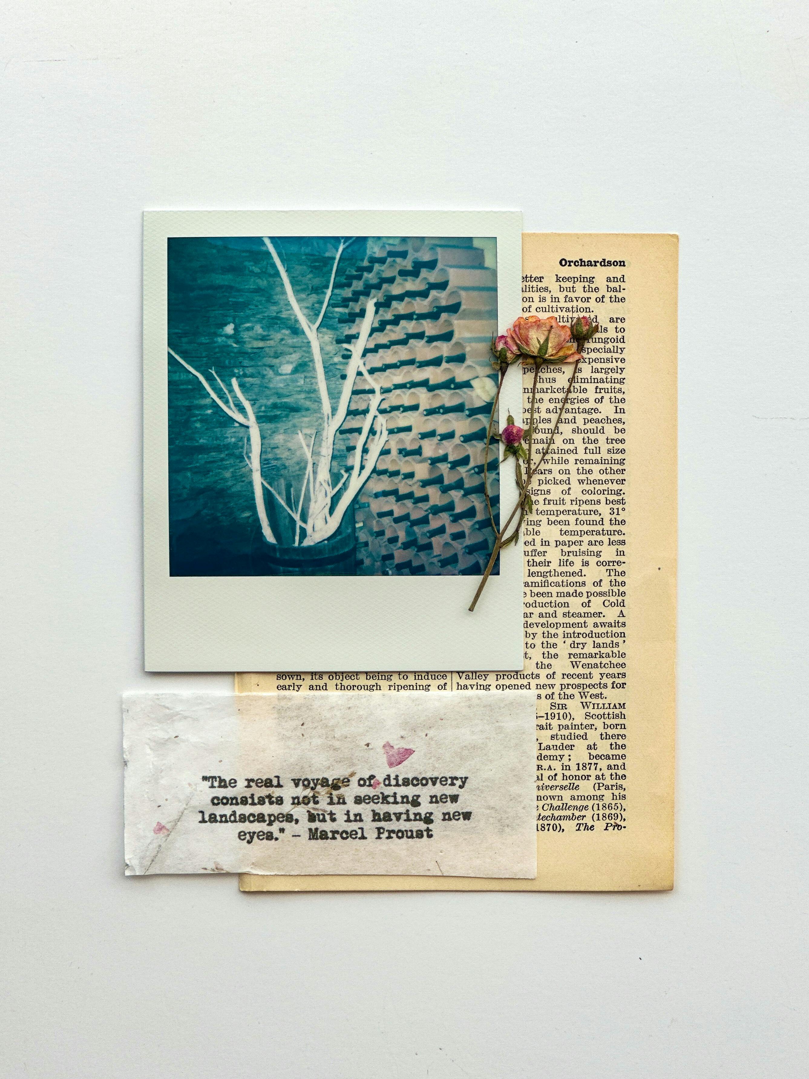 Scrambled Paper Photos, Download The BEST Free Scrambled Paper Stock ...