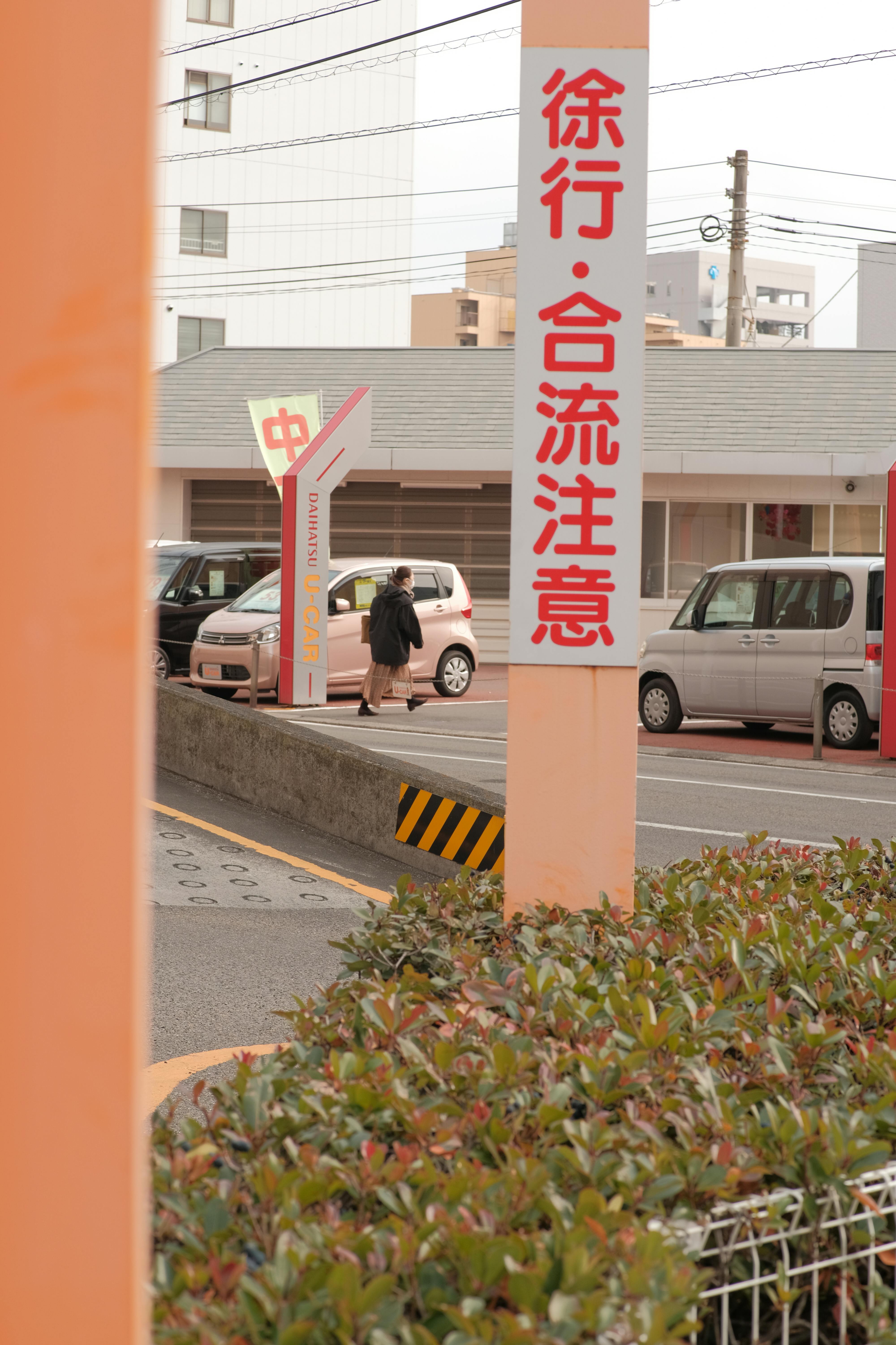 Well Groomed Shrubs Growing by Roadside in City · Free Stock Photo