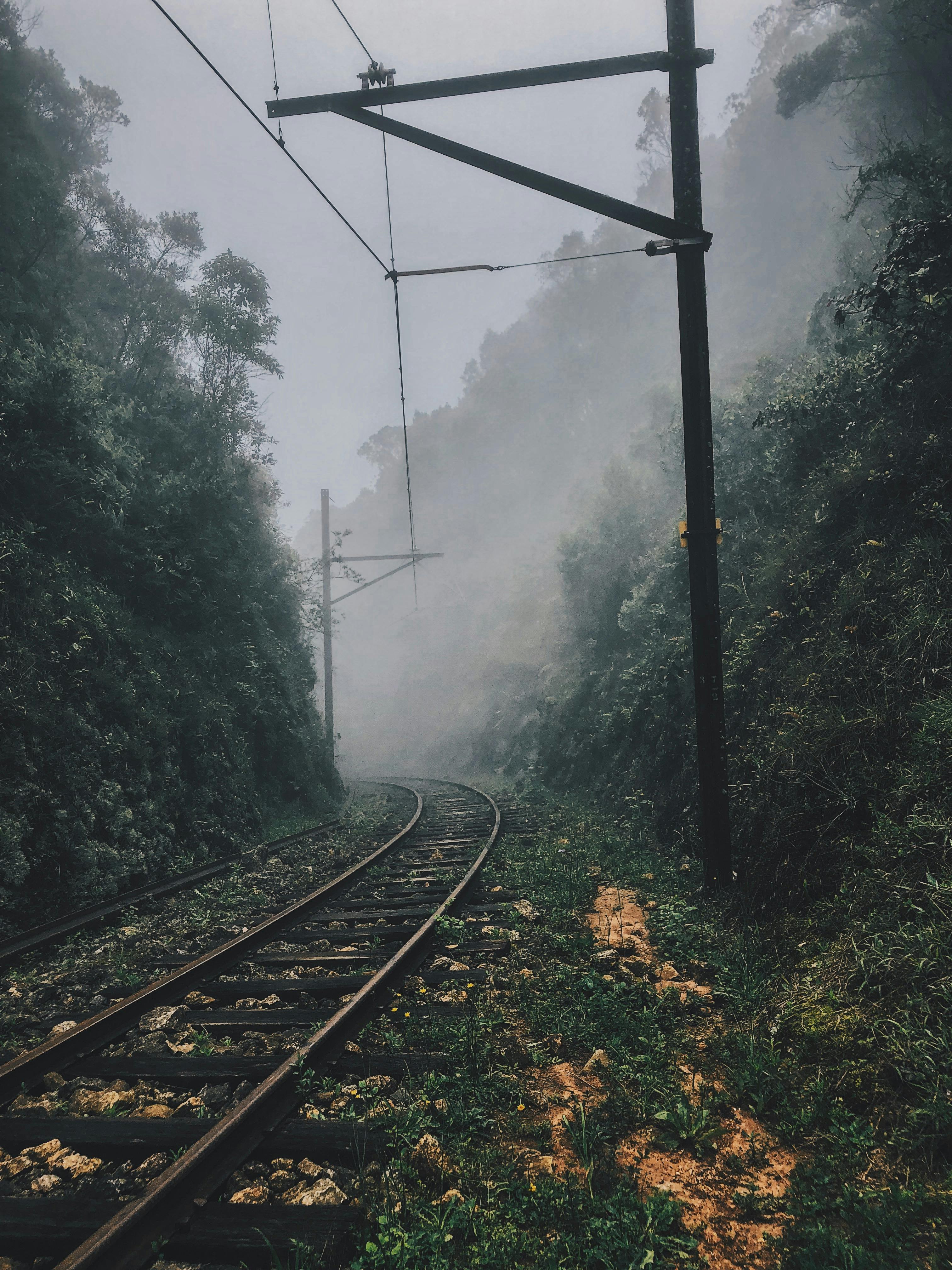 Free stock photo from Guilherme Rossi · Pexels