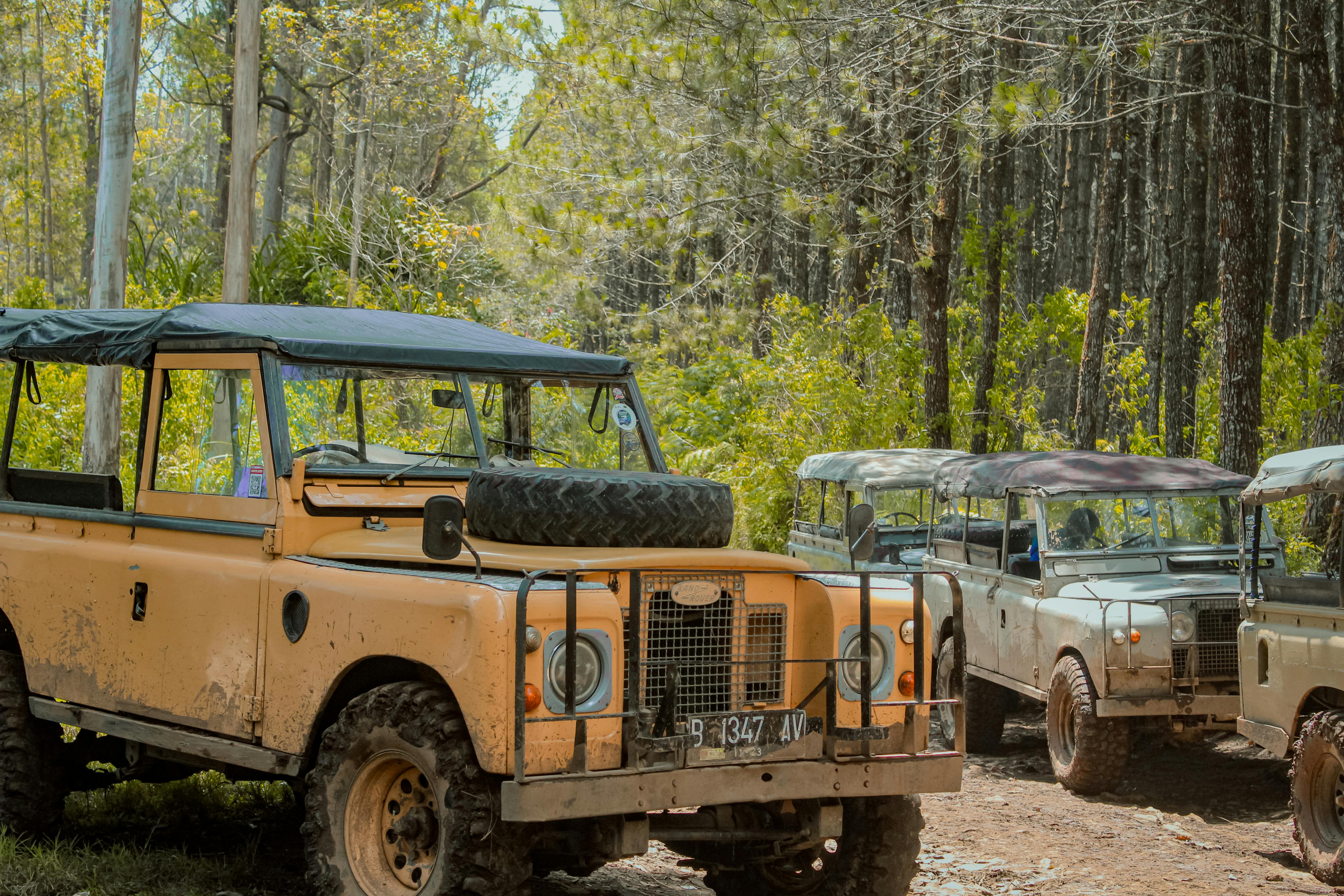 Vintage Land Rovers in the Forest · Free Stock Photo
