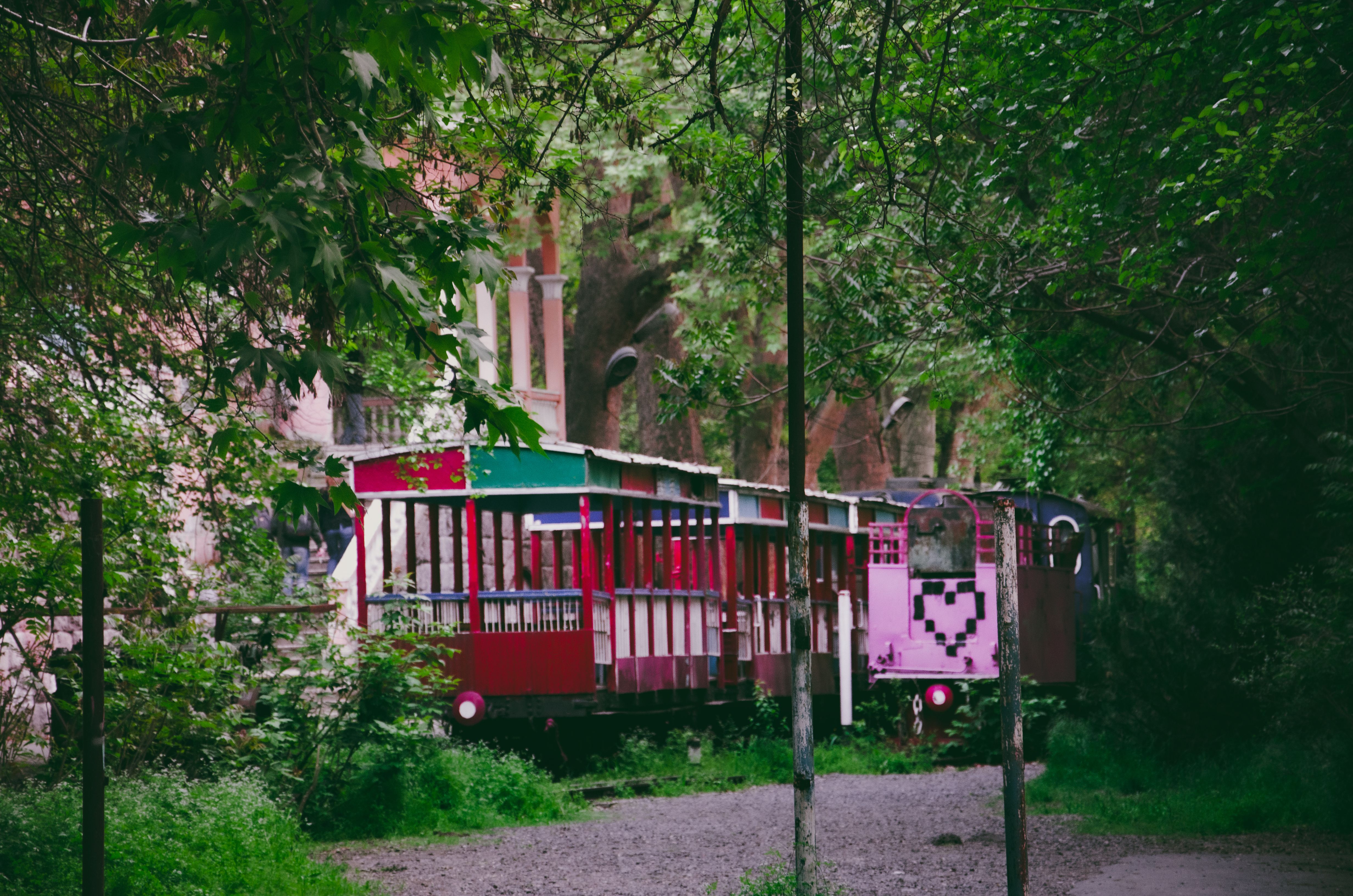 A Small Tourist Train in the City · Free Stock Photo