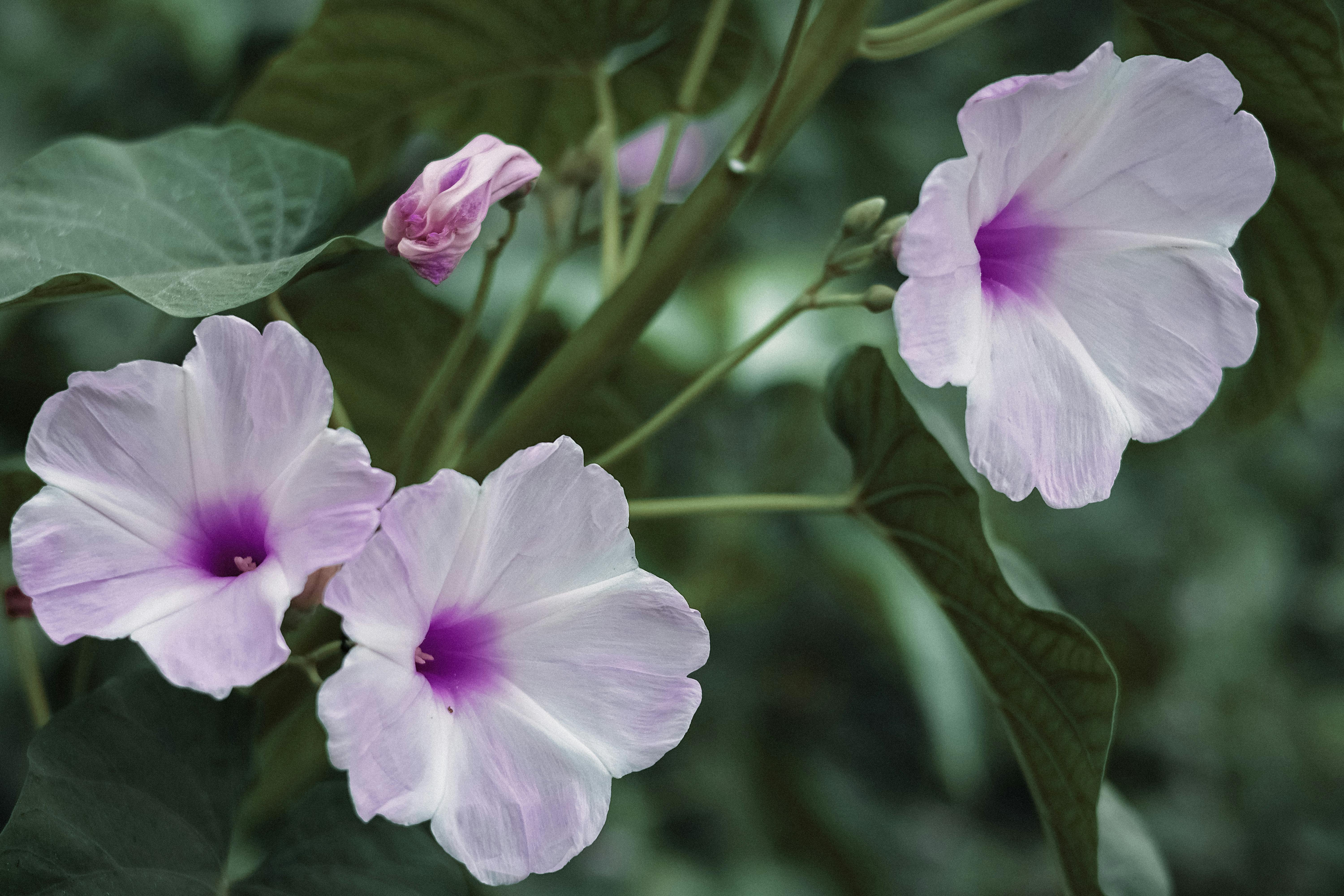 Xnxx Wallpaper Photos, Download The BEST Free Xnxx Wallpaper Stock ...