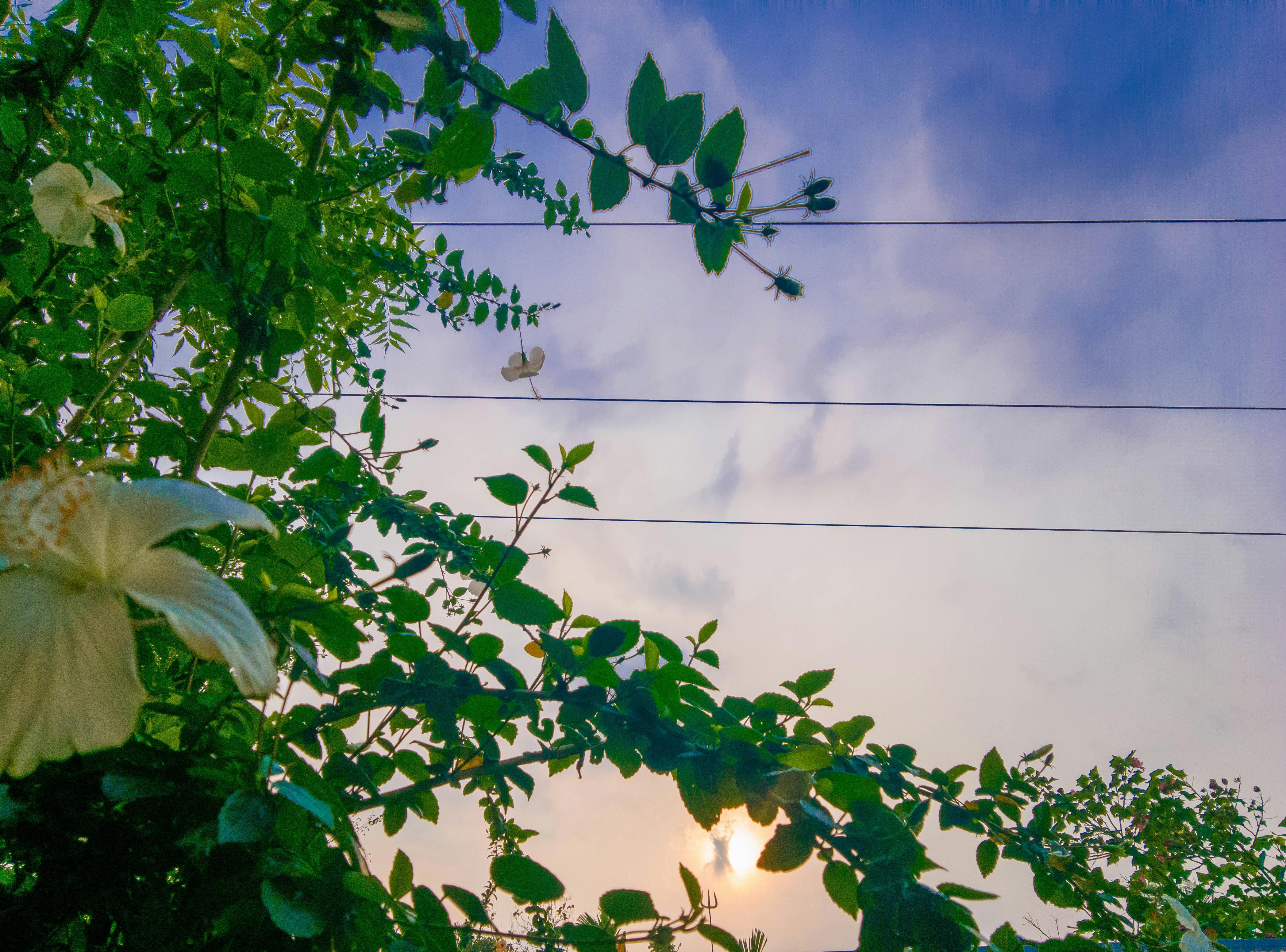 Anupam Nath - Fotografía