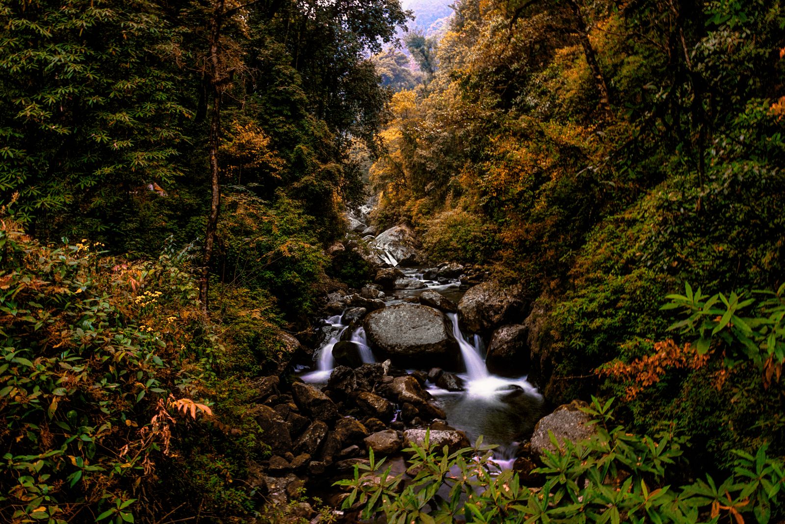 Flowing River Photos, Download The BEST Free Flowing River Stock Photos ...