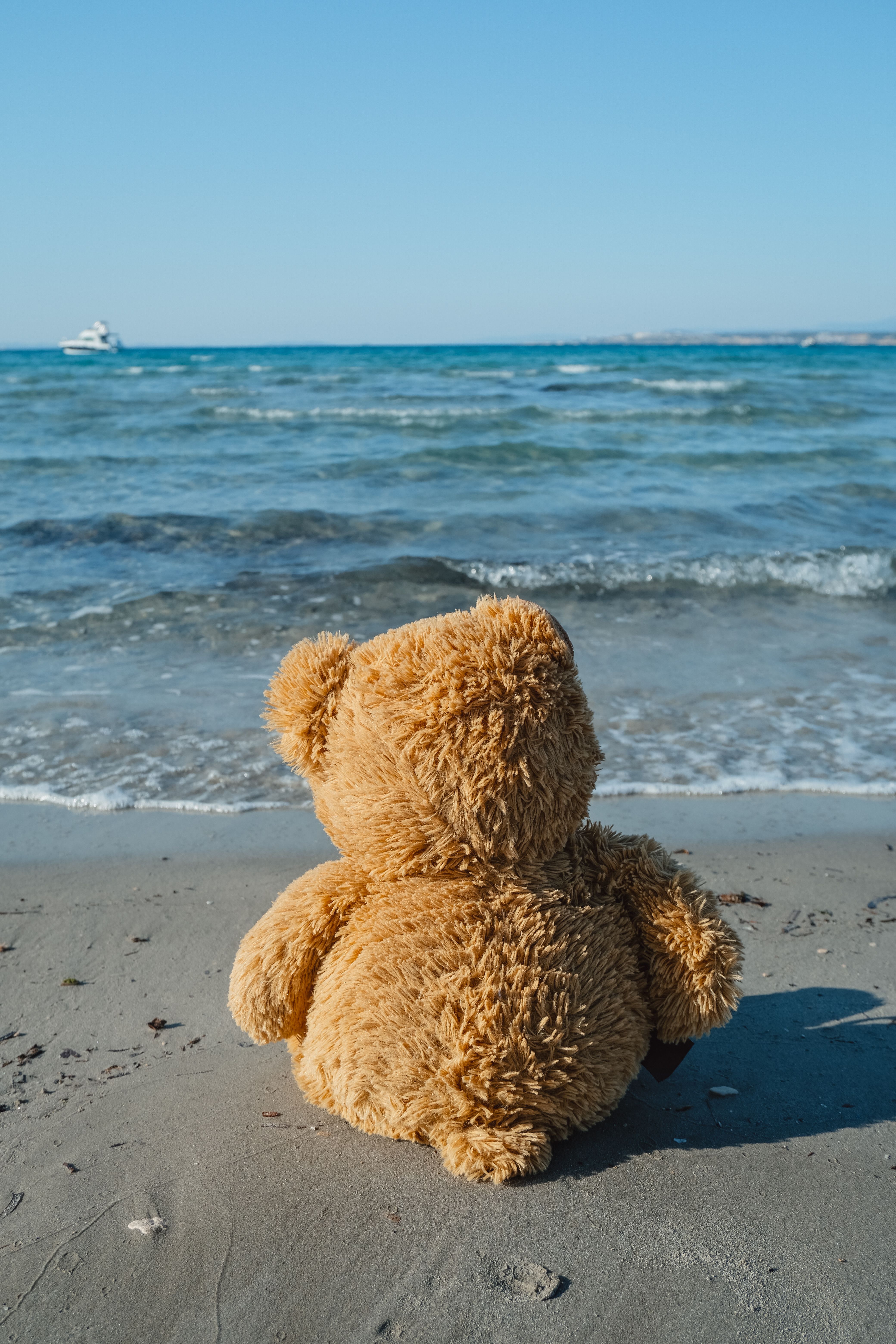 A Teddy Bear on the Beach · Free Stock Photo