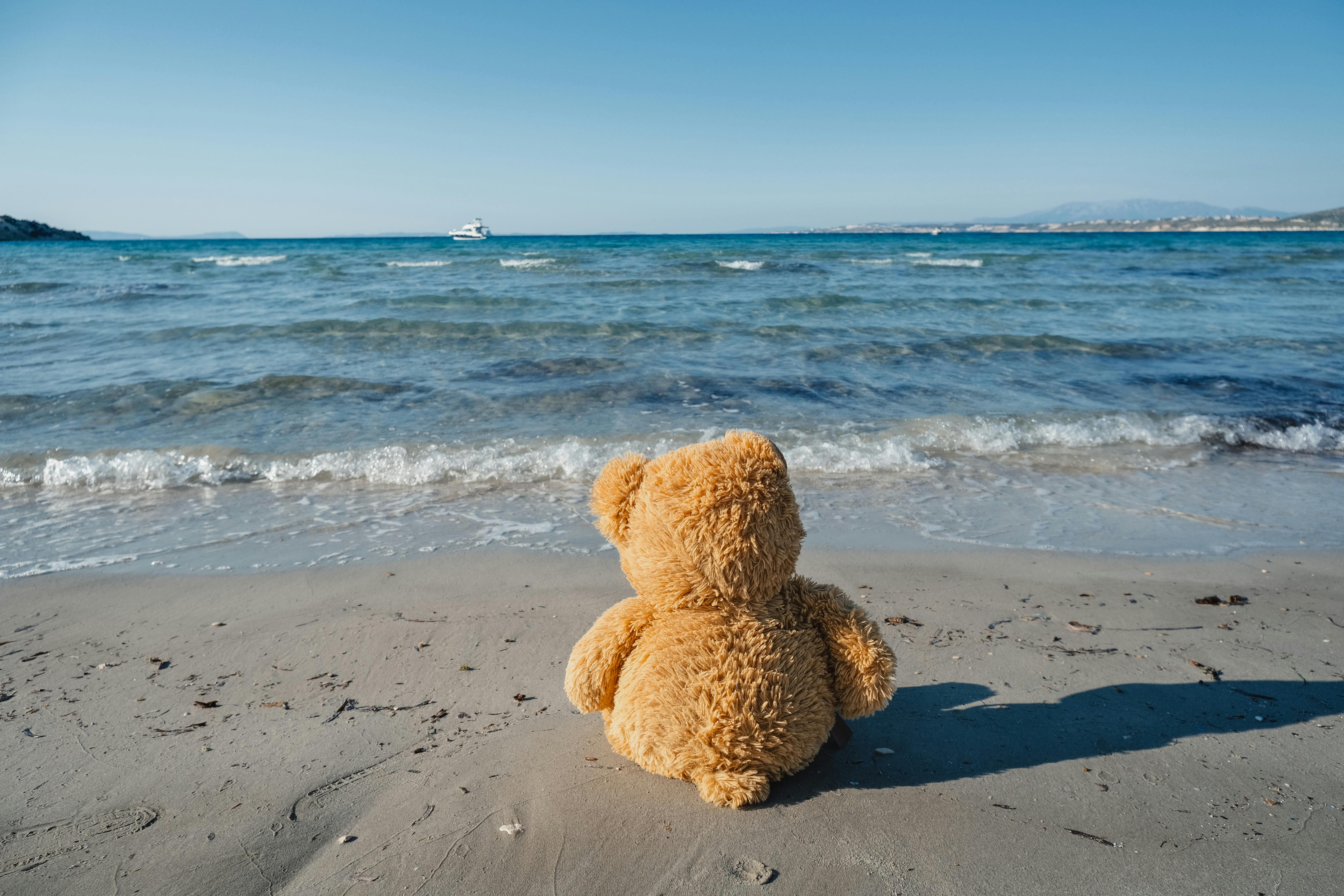 Lone Teddy Bear Left on a Beach · Free Stock Photo