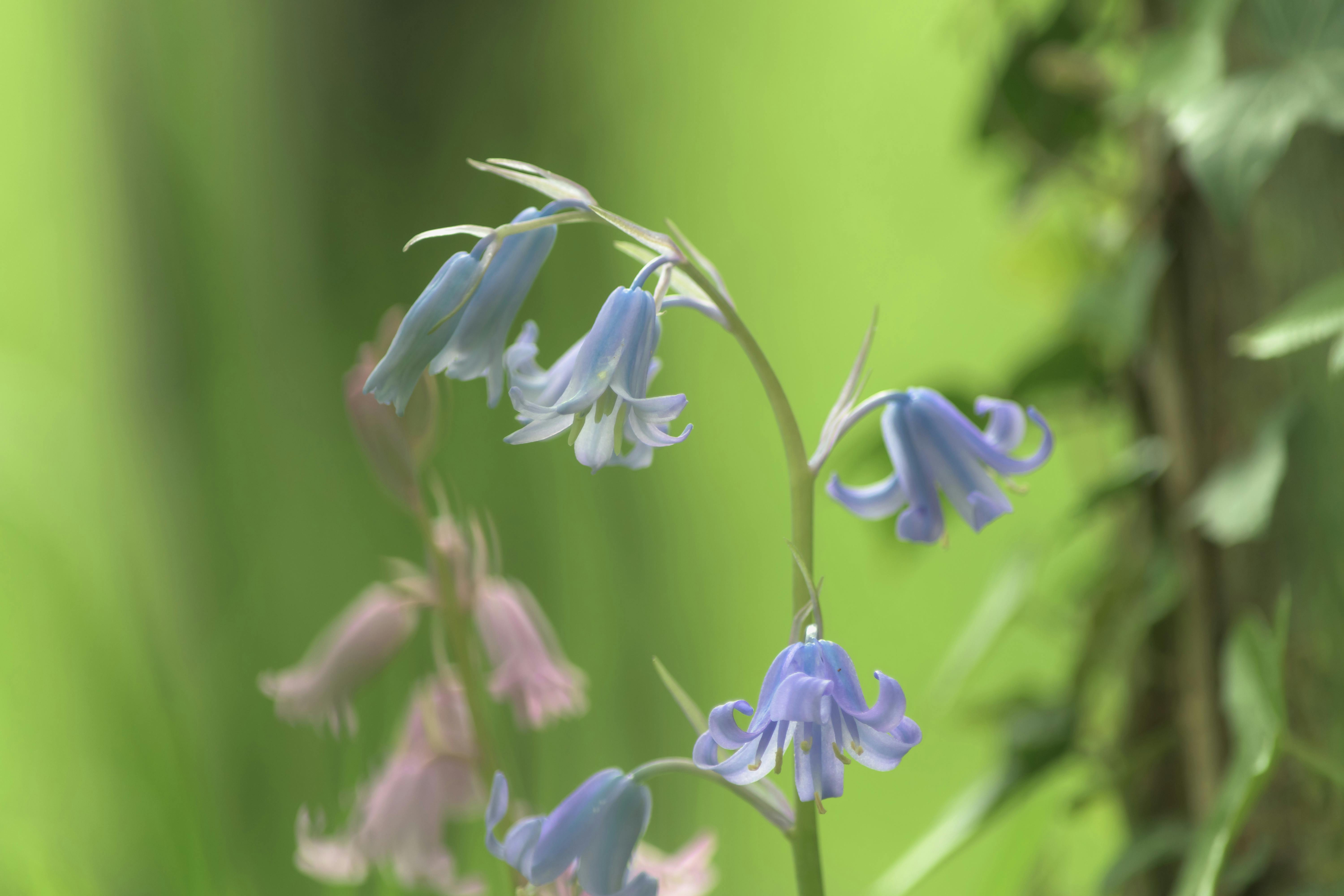 Irek Marcinkowski - Photography