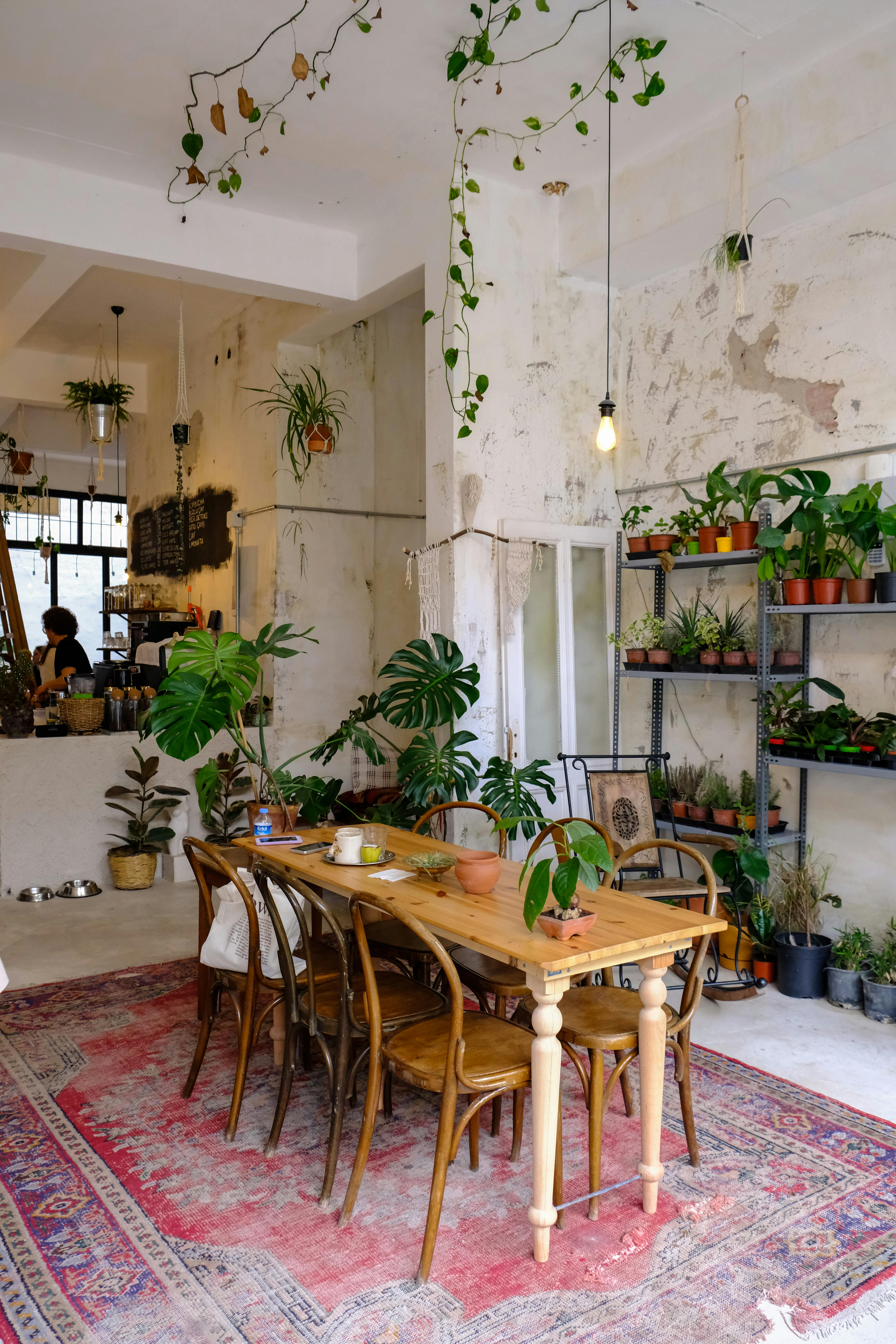 Plants and Table in Room · Free Stock Photo