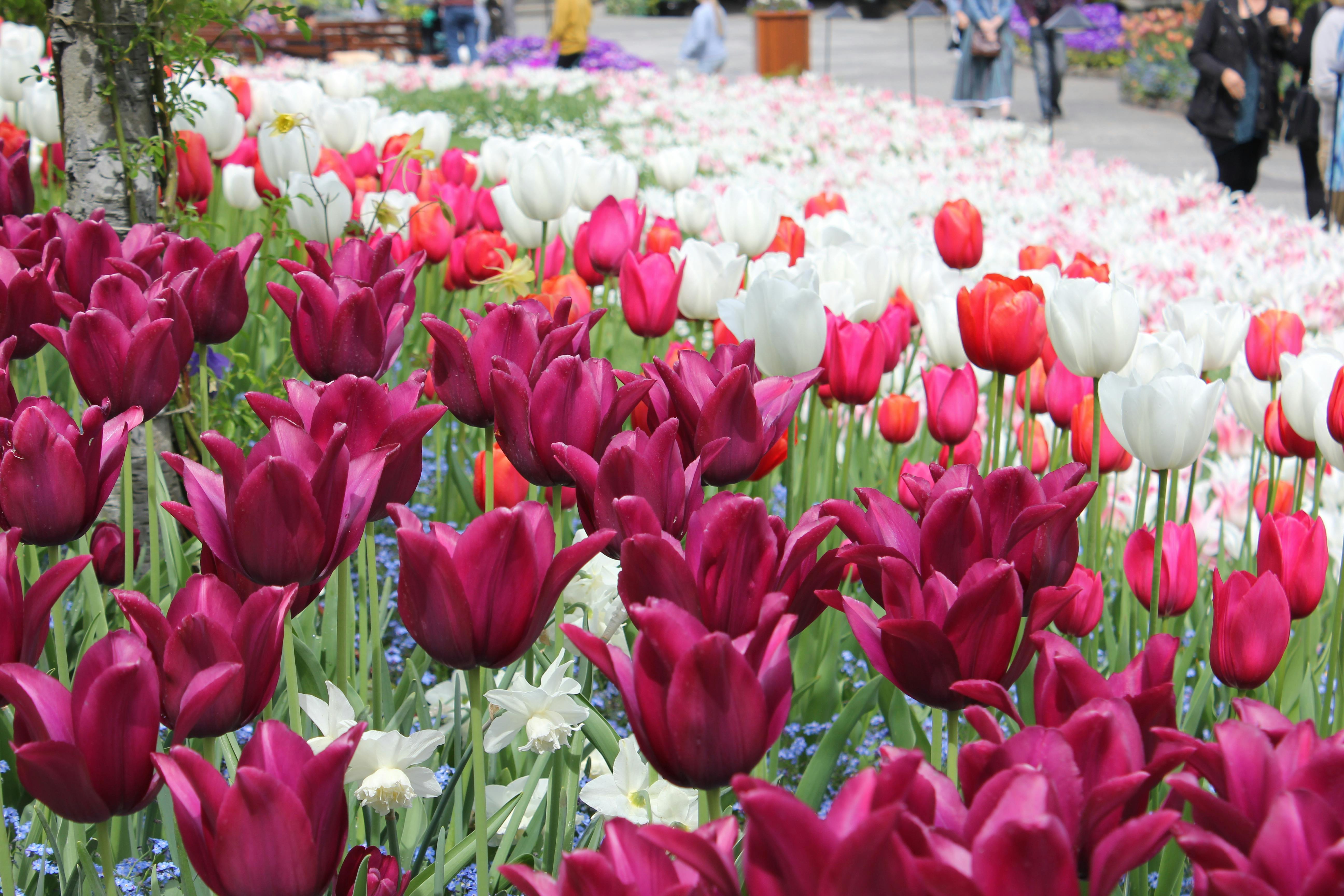 alex ohan - Photographie