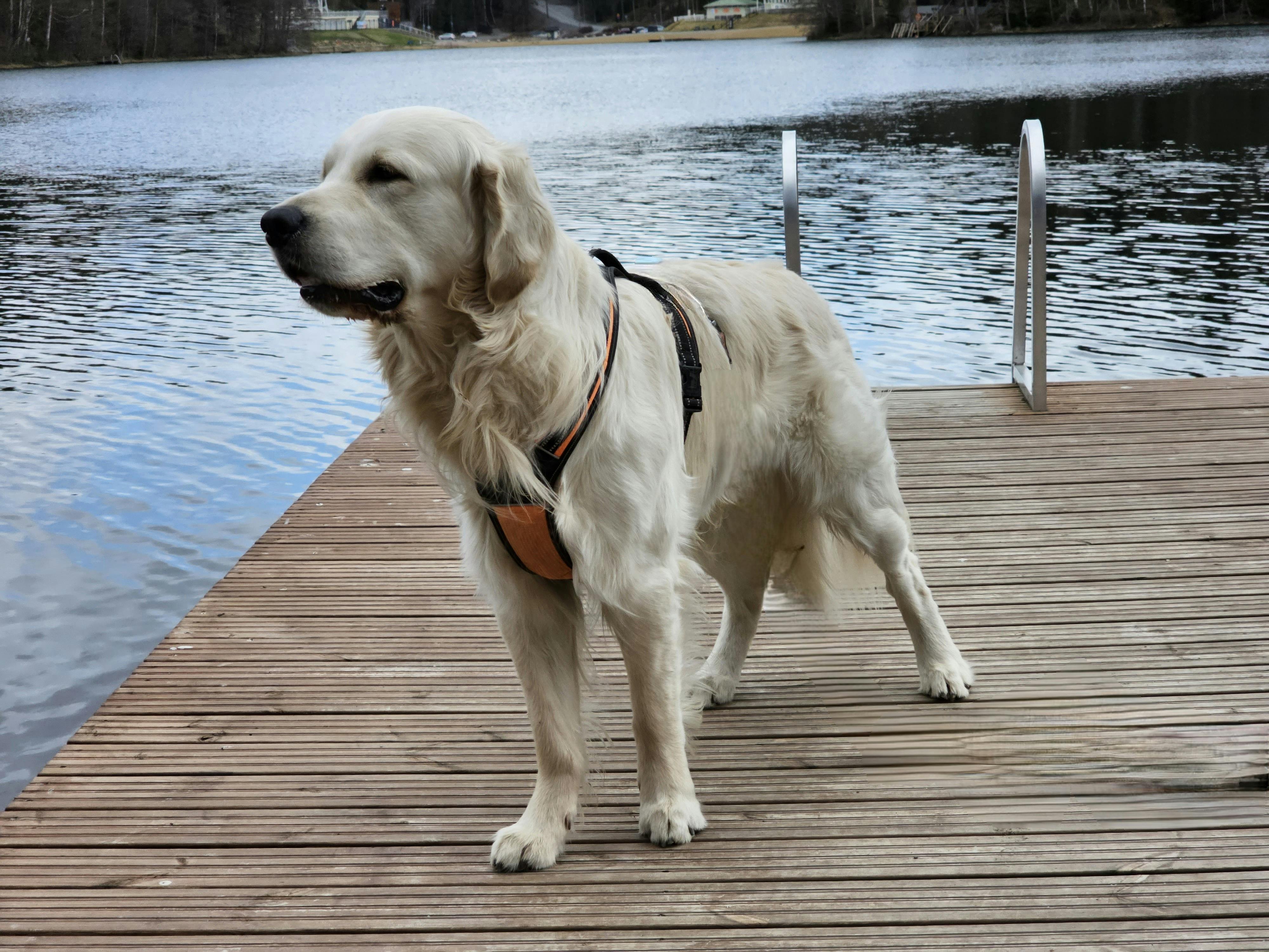 Kimmo Vainio - 摄影