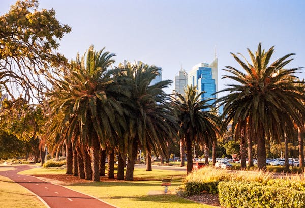 Perth Skyline Photos, Download The BEST Free Perth Skyline Stock Photos ...