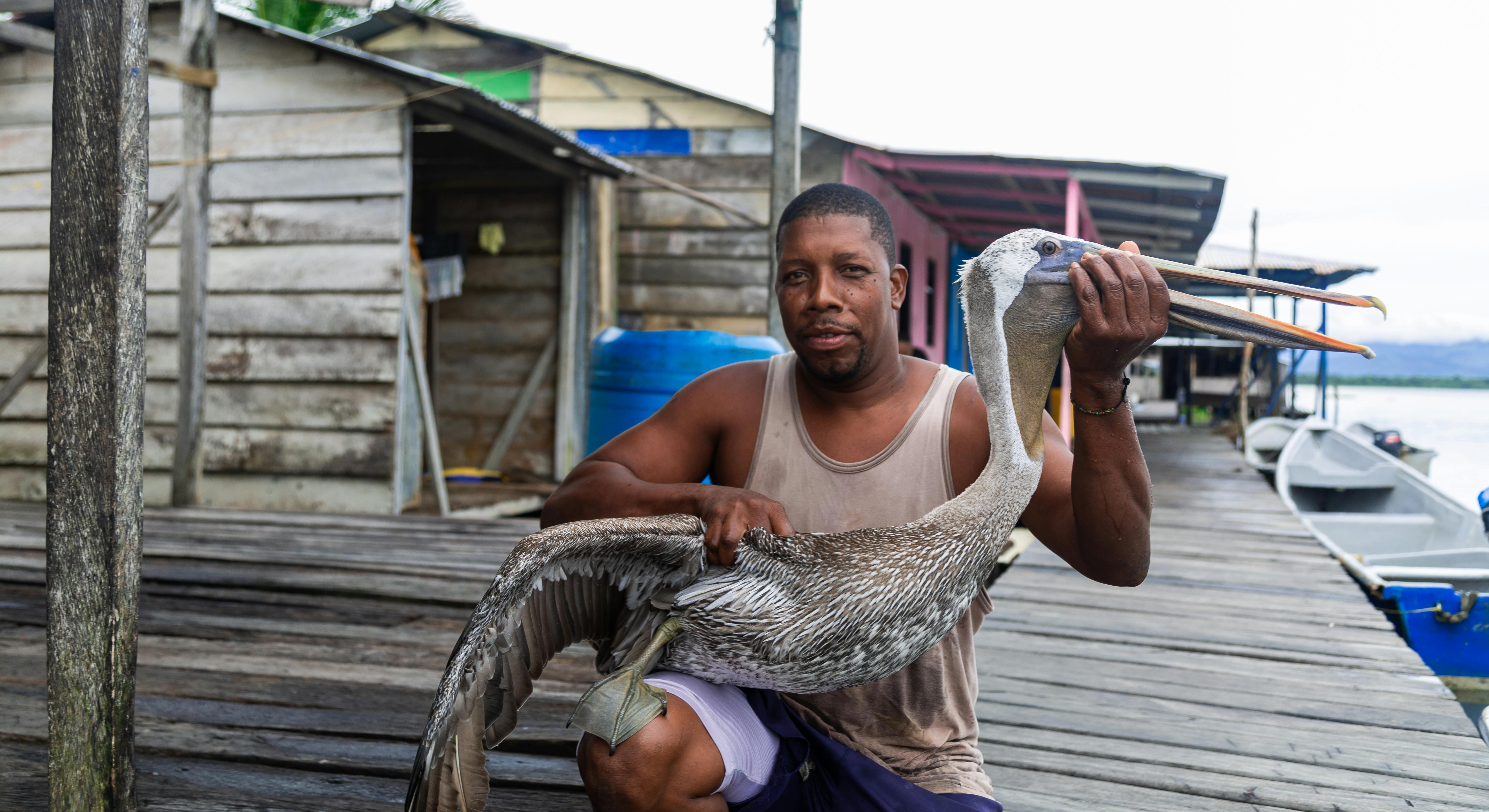 Man Holding Pelican · Free Stock Photo