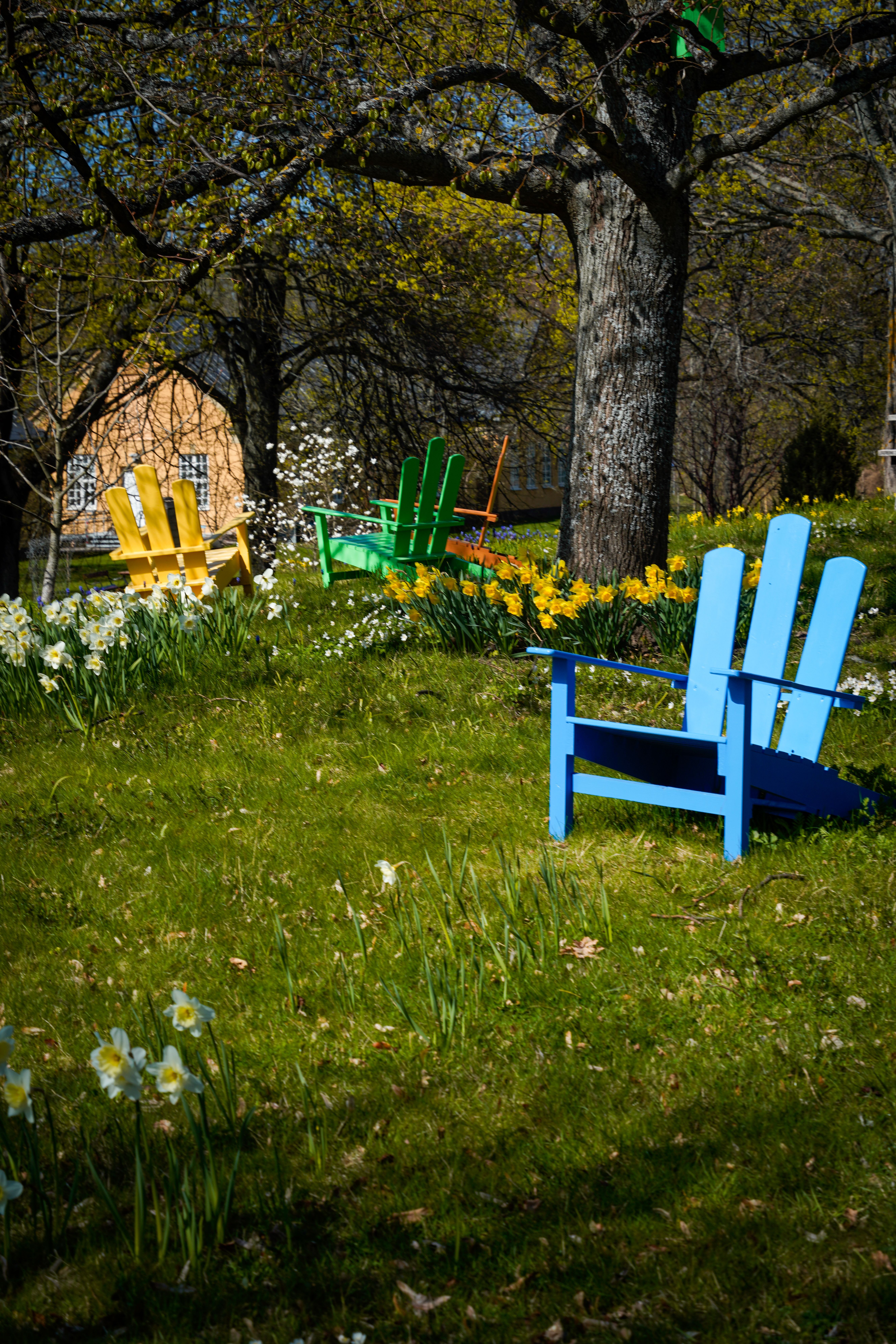 Colorful Chairs in a Park · Free Stock Photo