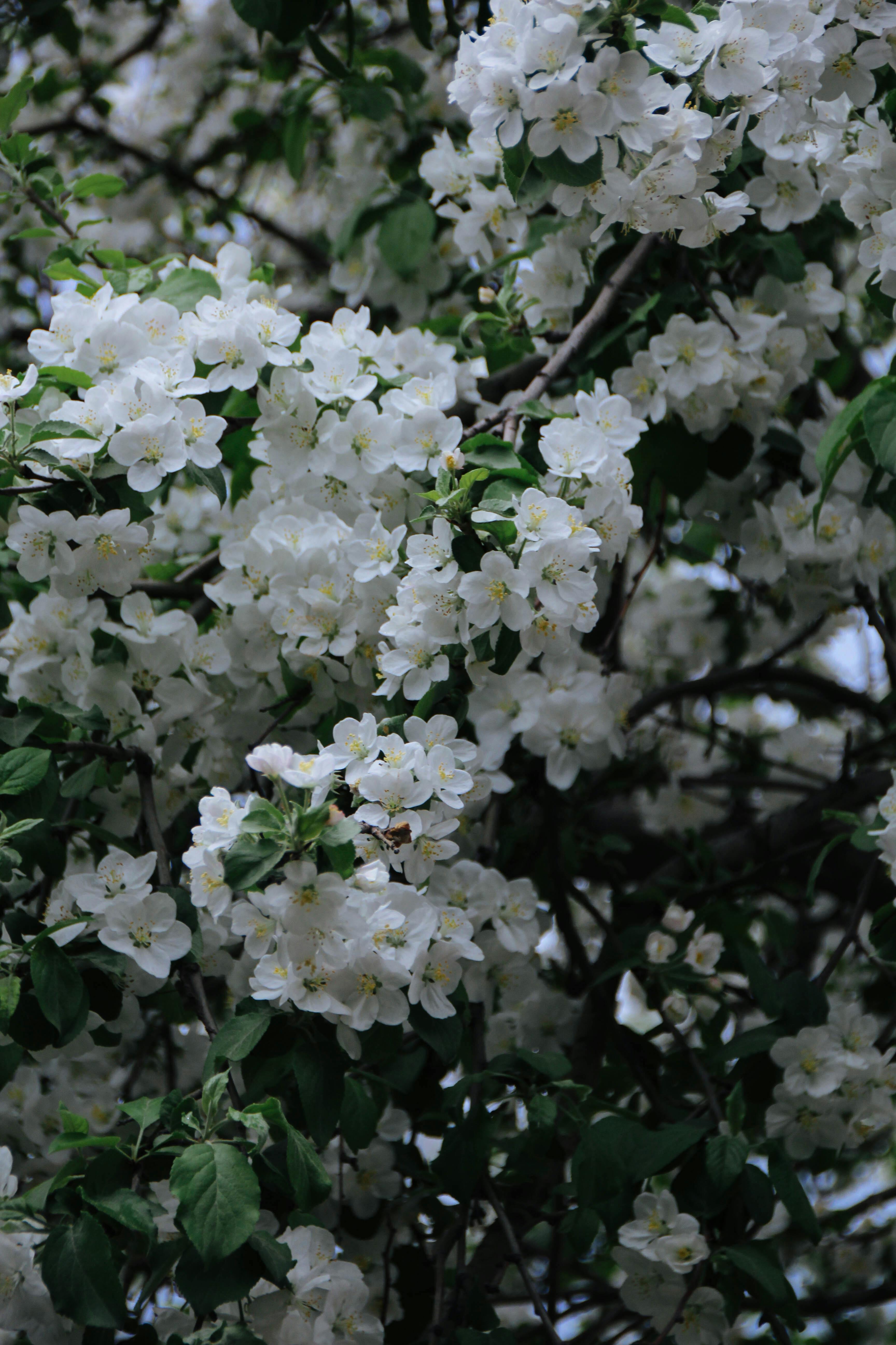 Full Of Life And Vitality Photos, Download The BEST Free Full Of Life ...