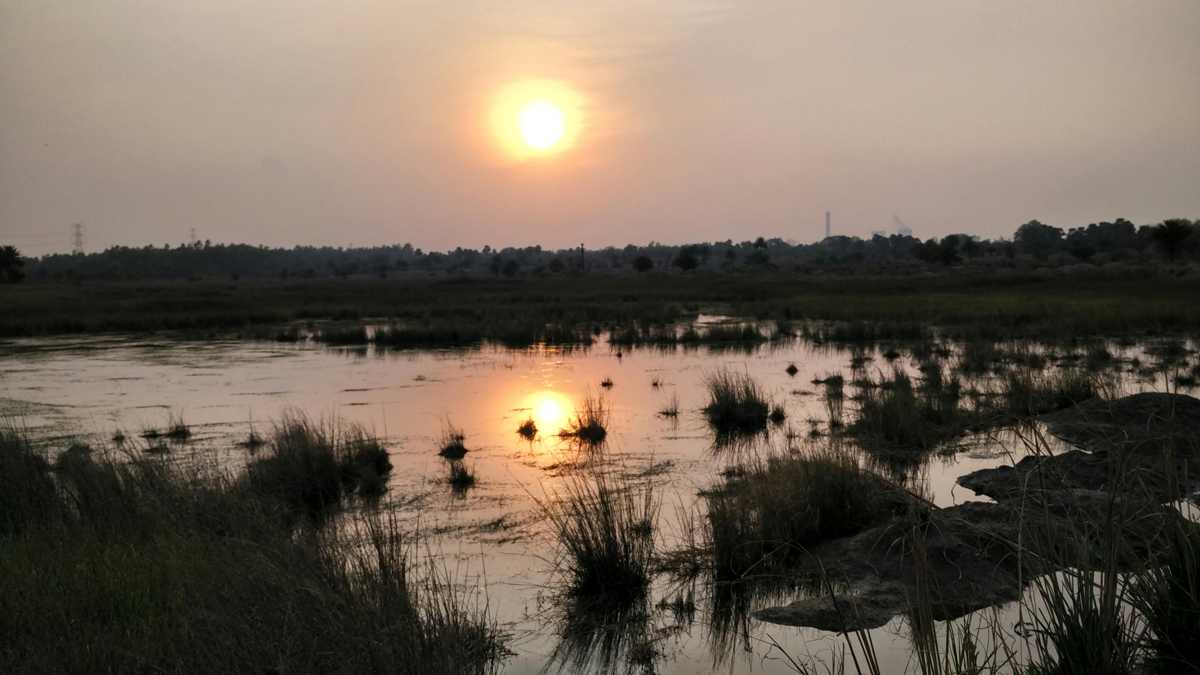 Free stock photo of Marshes