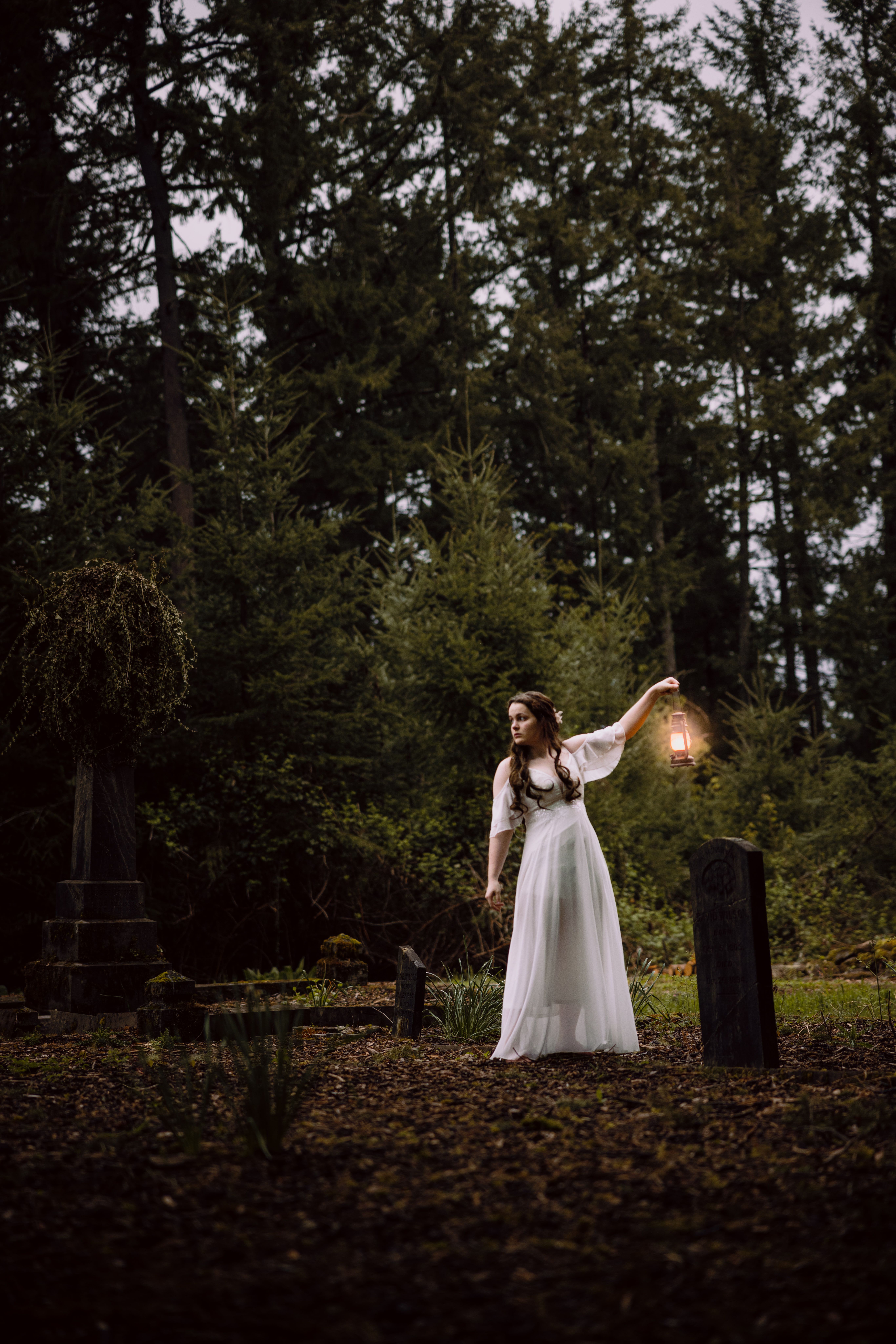 Horror Wolf Photos, Download The BEST Free Horror Wolf Stock Photos ...