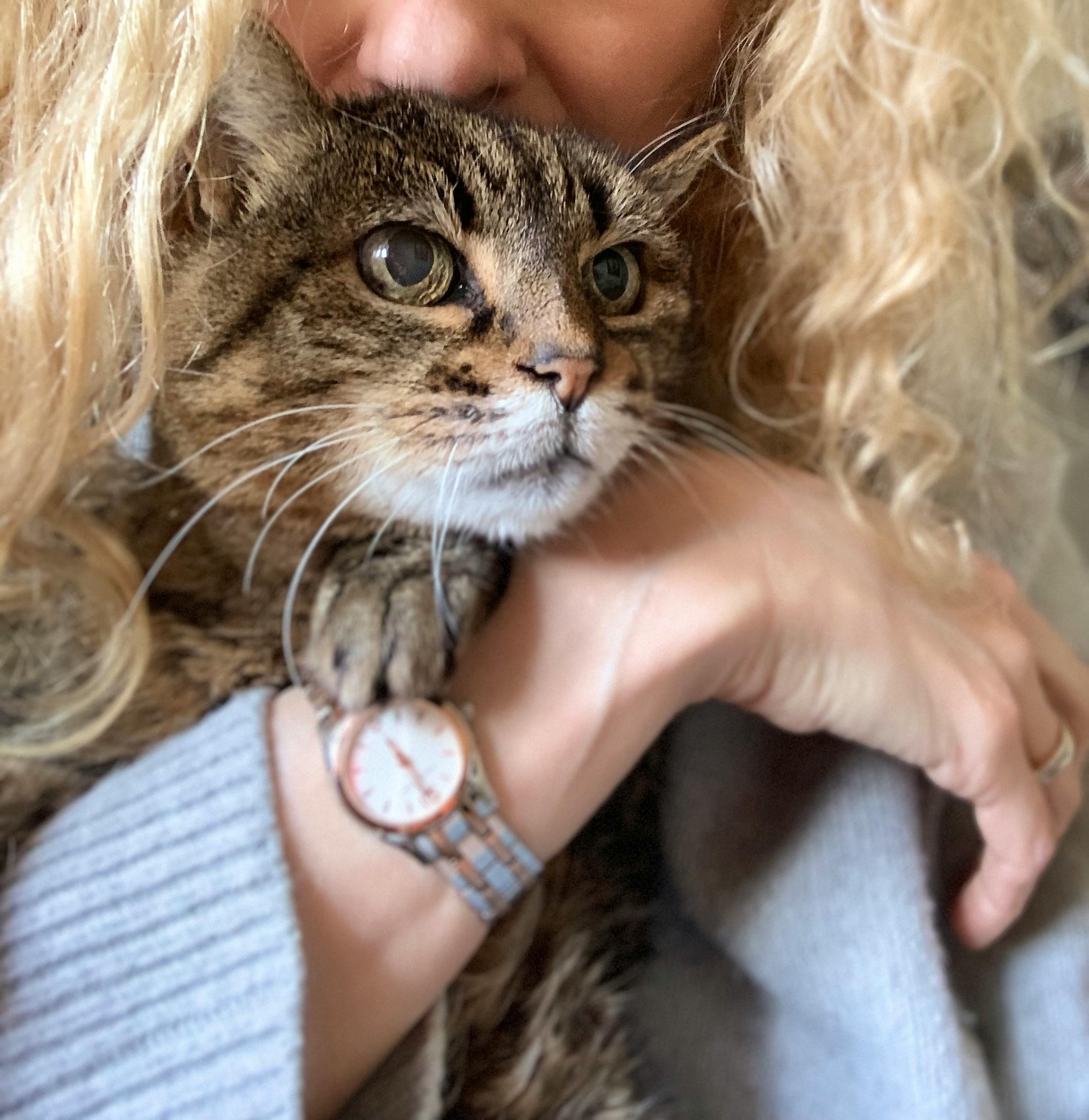 Ana Veloso - Fotografía