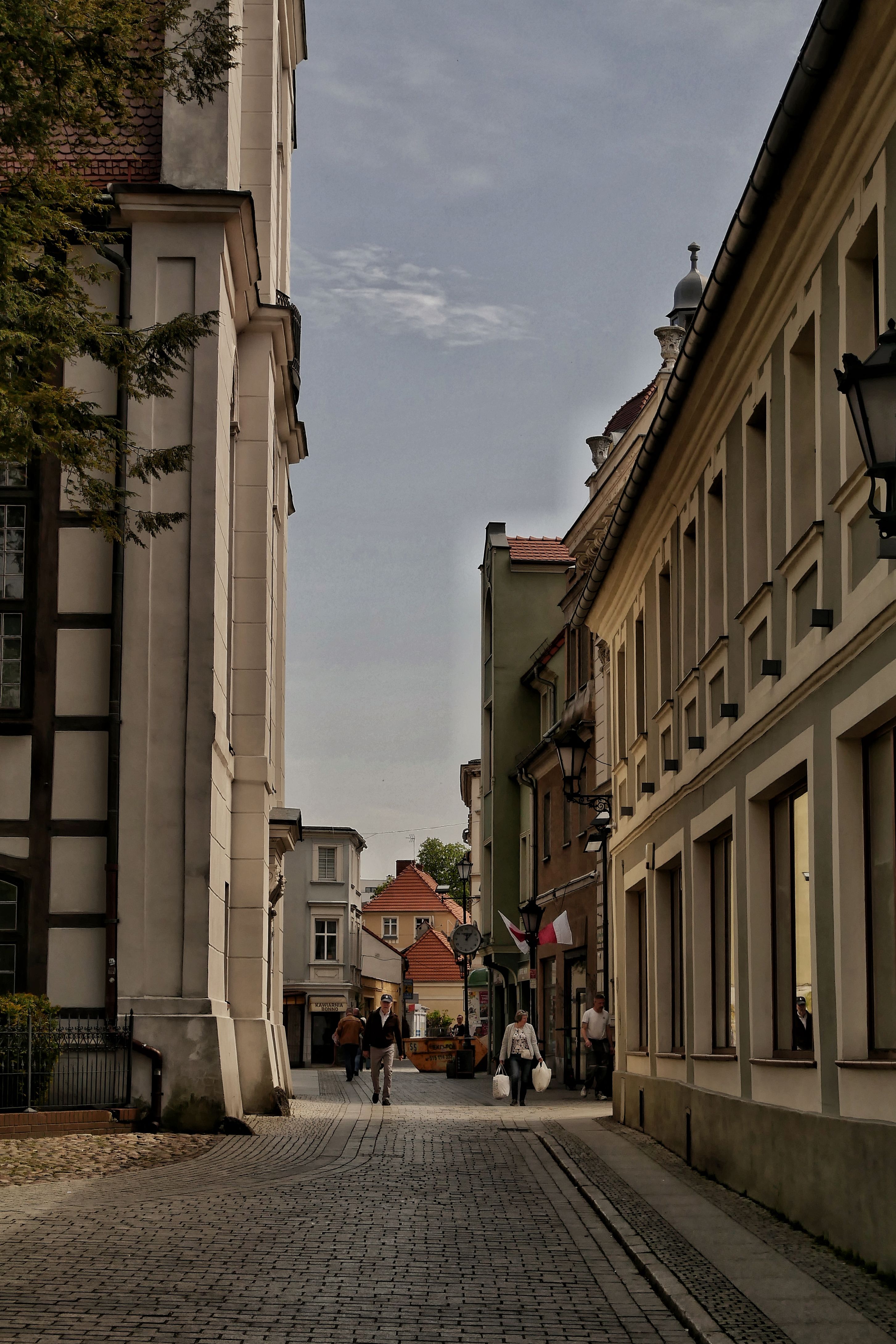 Paved Street in a City · Free Stock Photo