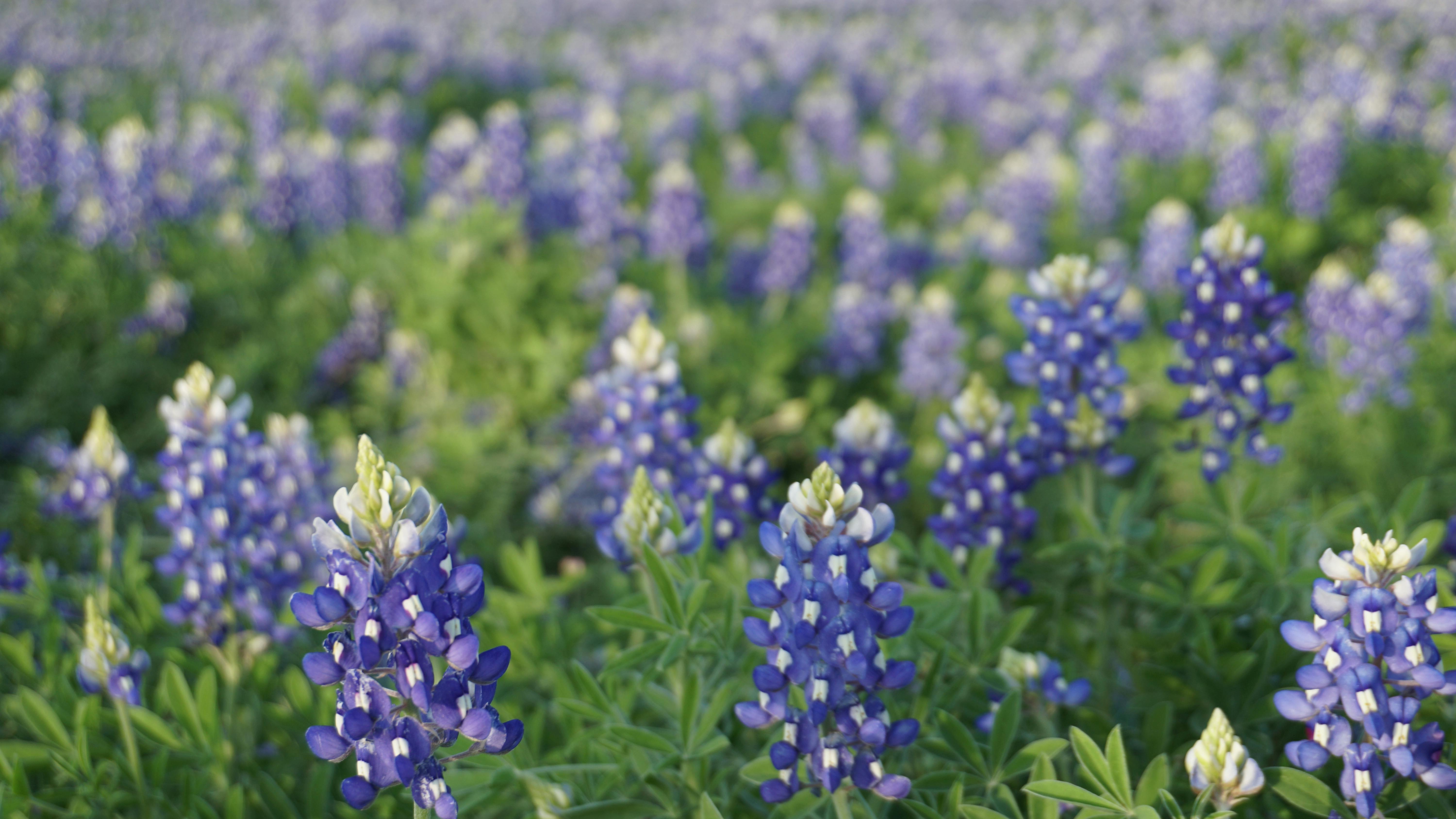 Jason Corder - 사진